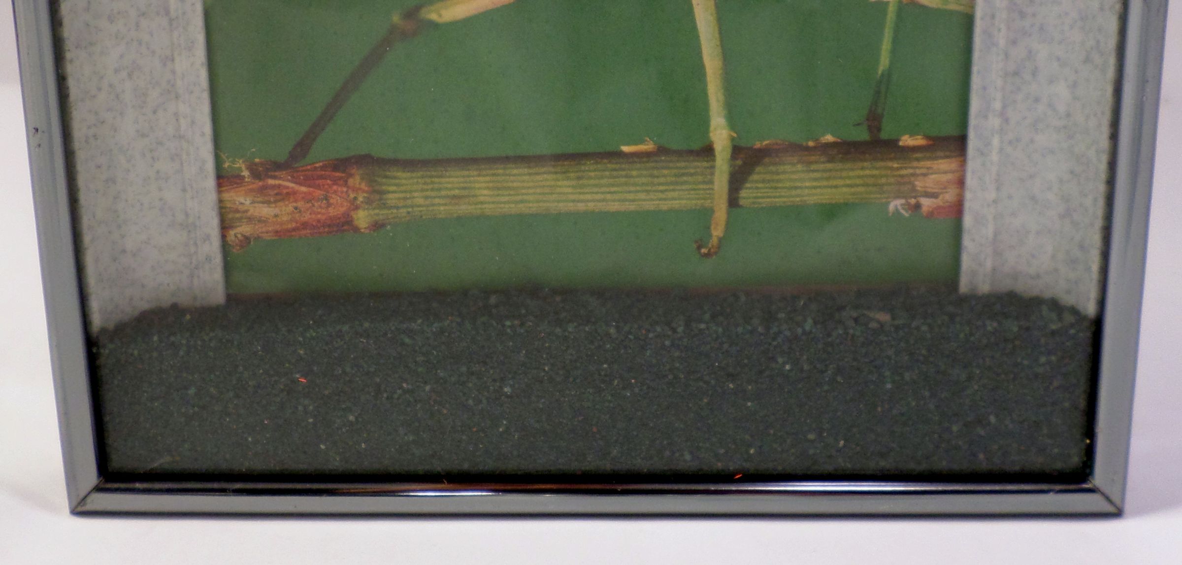 Picture Frame Terrarium : 13 Steps (with Pictures) - Instructables