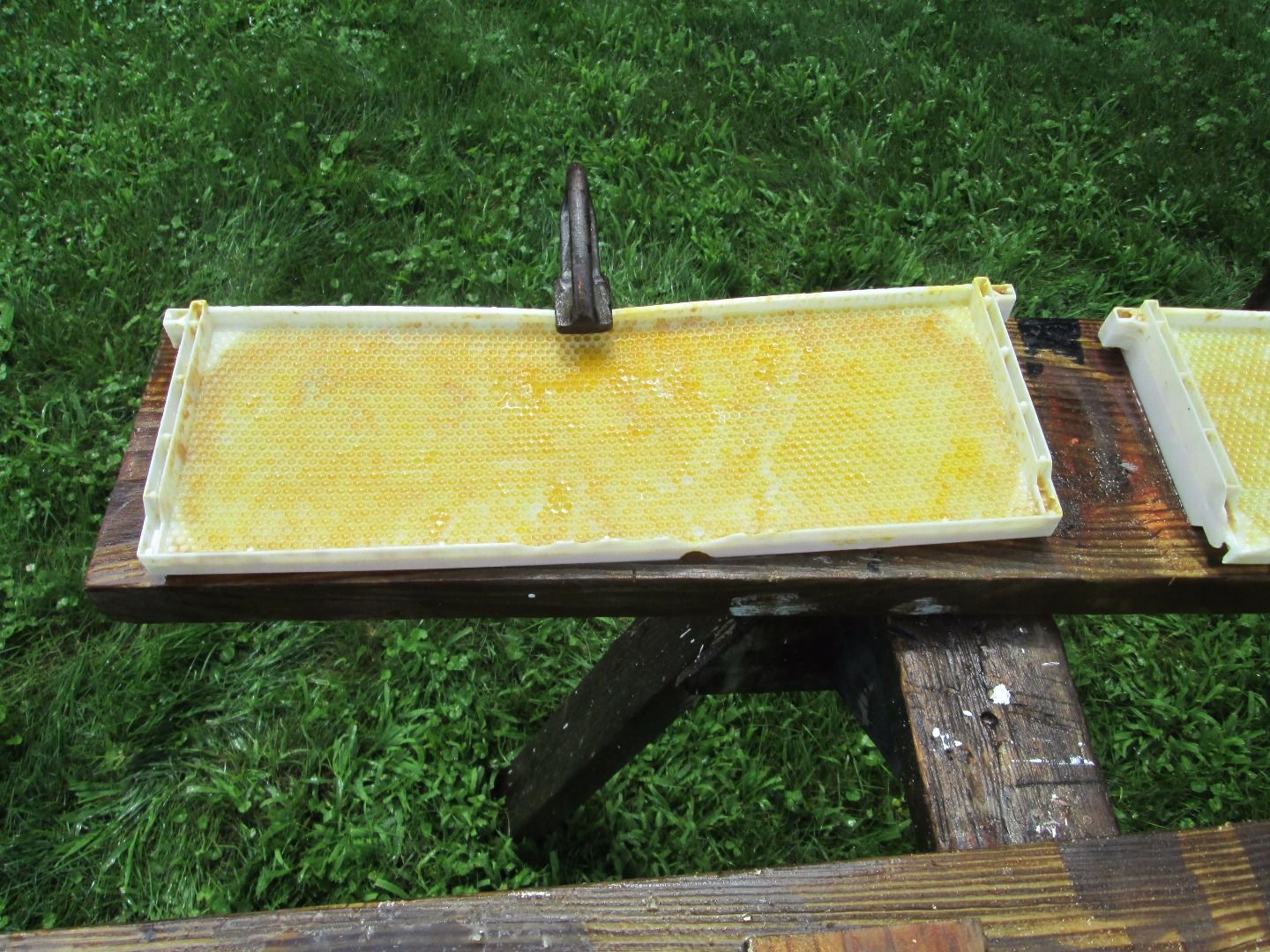 Salvaging Plastic Beehive Frames : 4 Steps - Instructables