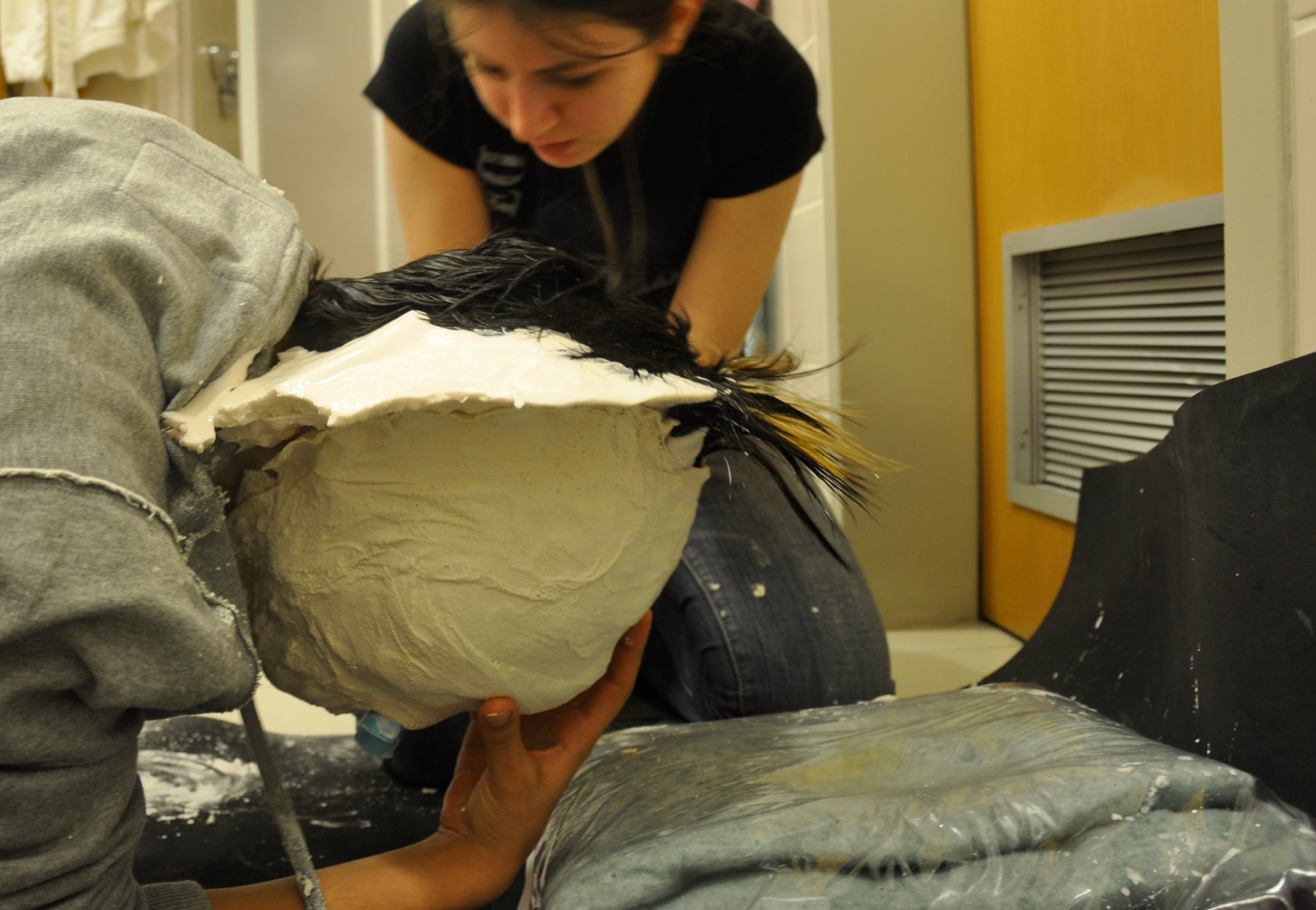 Alginate Mold - Face : 6 Steps (with Pictures) - Instructables