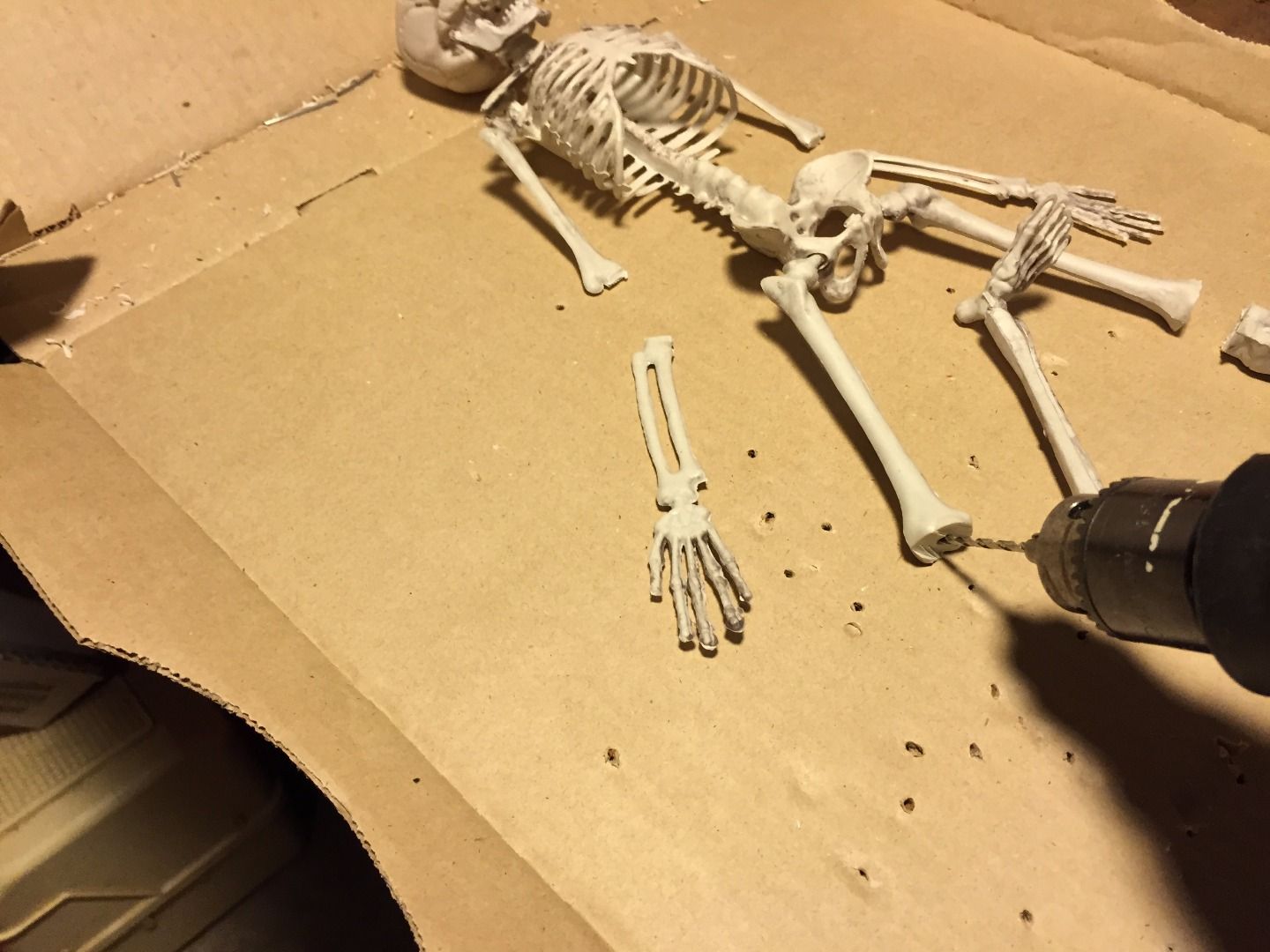 Articulating a Skeleton : 5 Steps (with Pictures) - Instructables