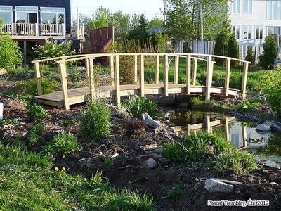 Pond Bridge - How to Build a Garden Bridge or Arched Footbridge ...