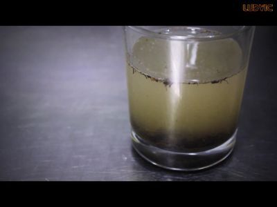 How to Clean and Distill Dirty Water : 4 Steps (with Pictures ...
