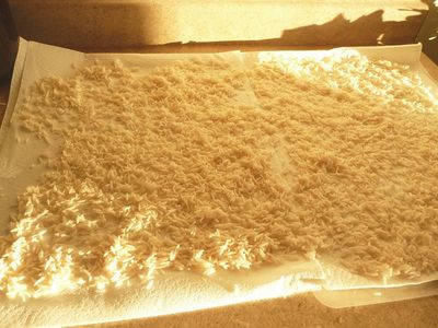 DIY- How to Make Rice Flour (with Pictures) - Instructables