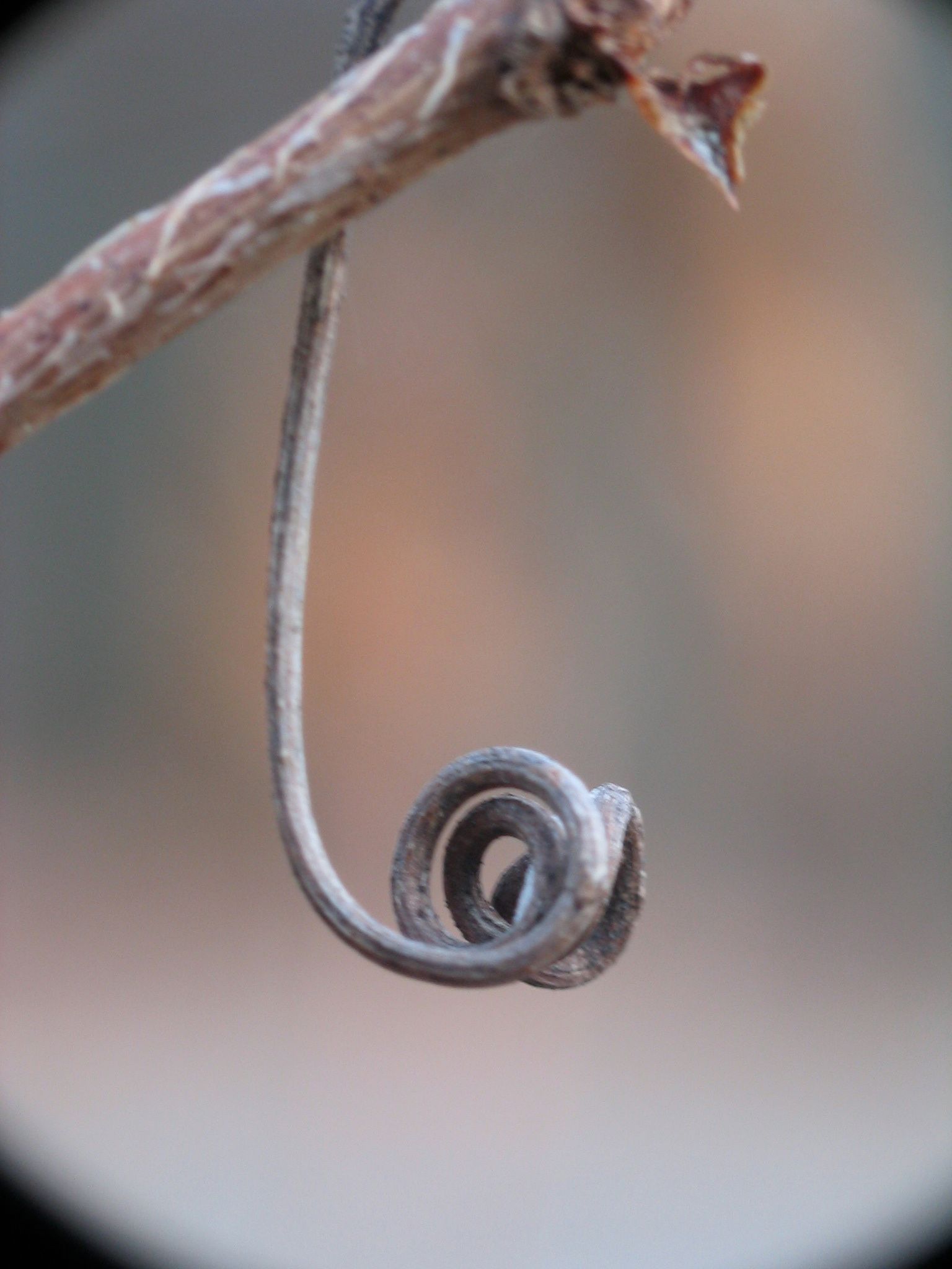 Types of Mechanical Springs : 8 Steps - Instructables