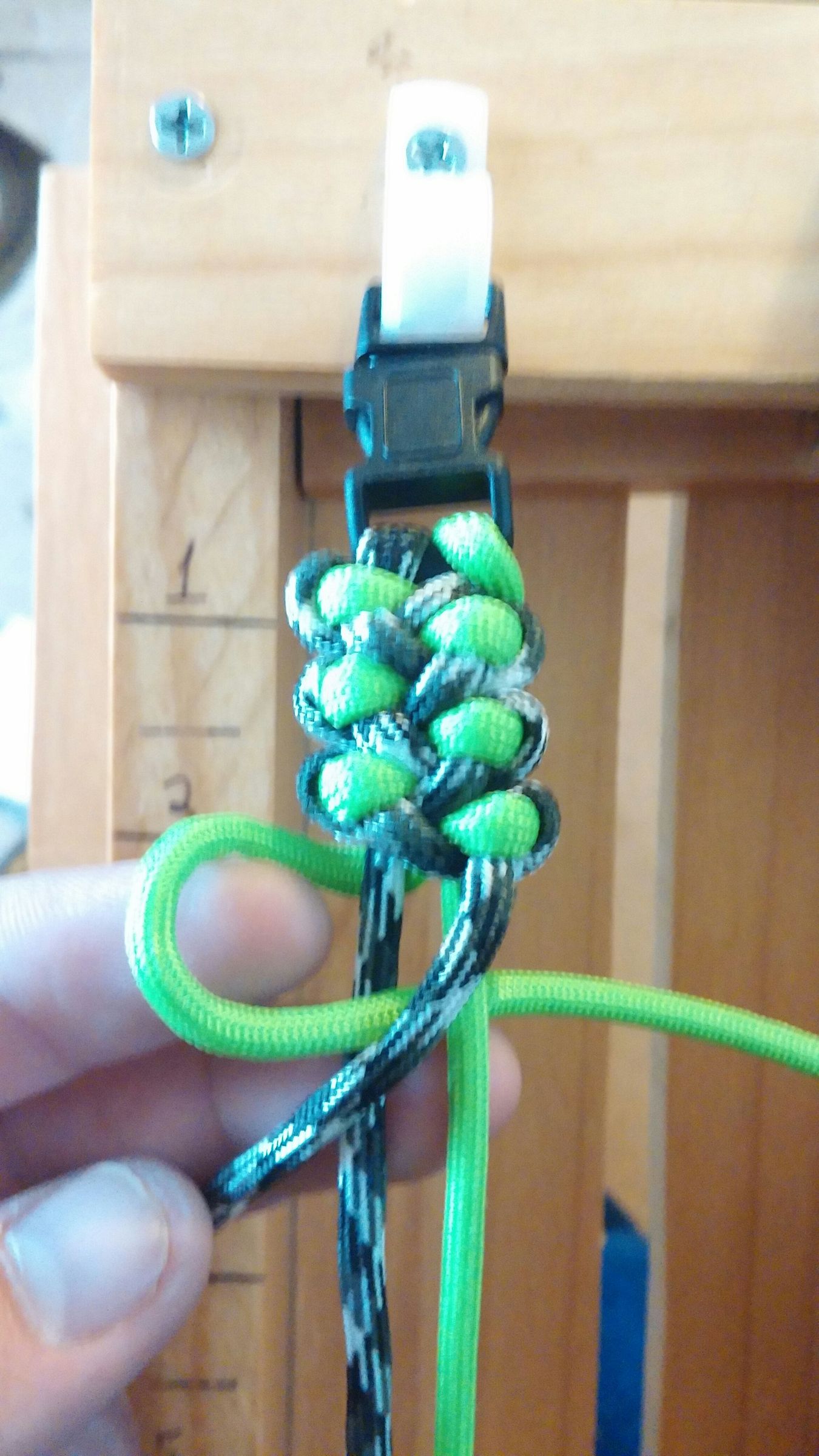 Dragon Claw : 10 Steps (with Pictures) - Instructables