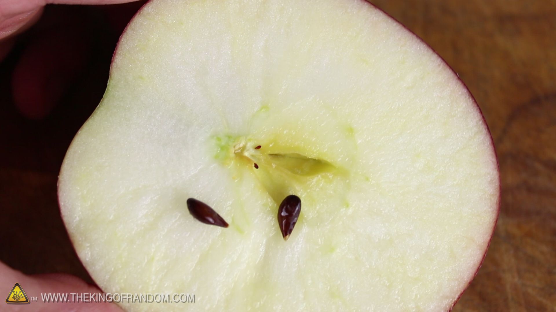 Make an Edible Apple Swan! : 8 Steps (with Pictures) - Instructables