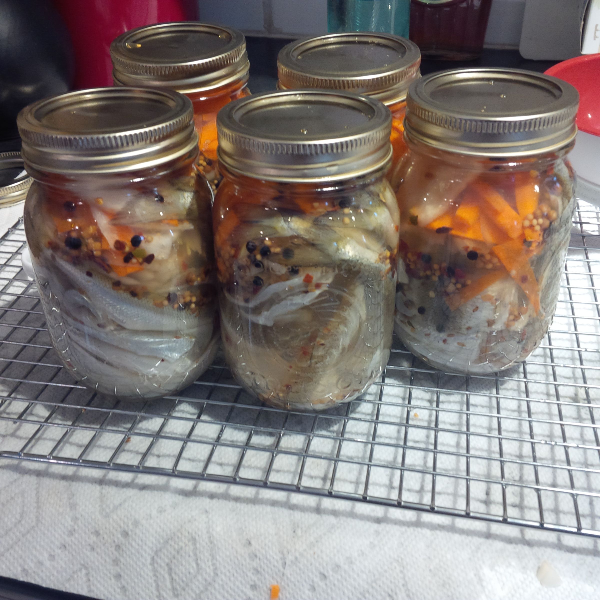 Pickled Smelt : 5 Steps (with Pictures) - Instructables