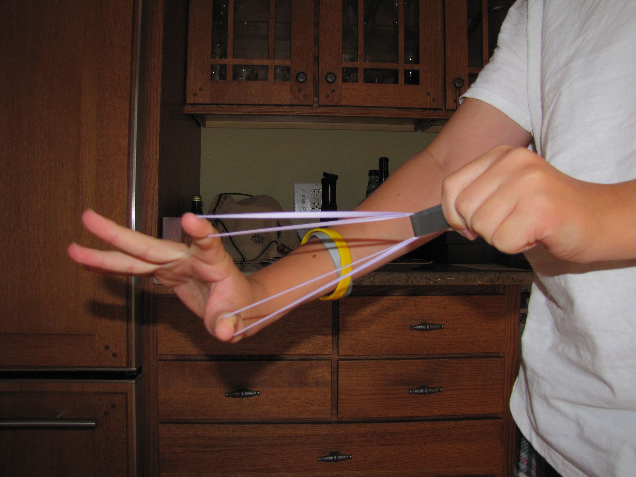 Paper Hornet Rubber Band