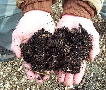 Make Garden Soil From ALMOST Any Dirt : 5 Steps - Instructables
