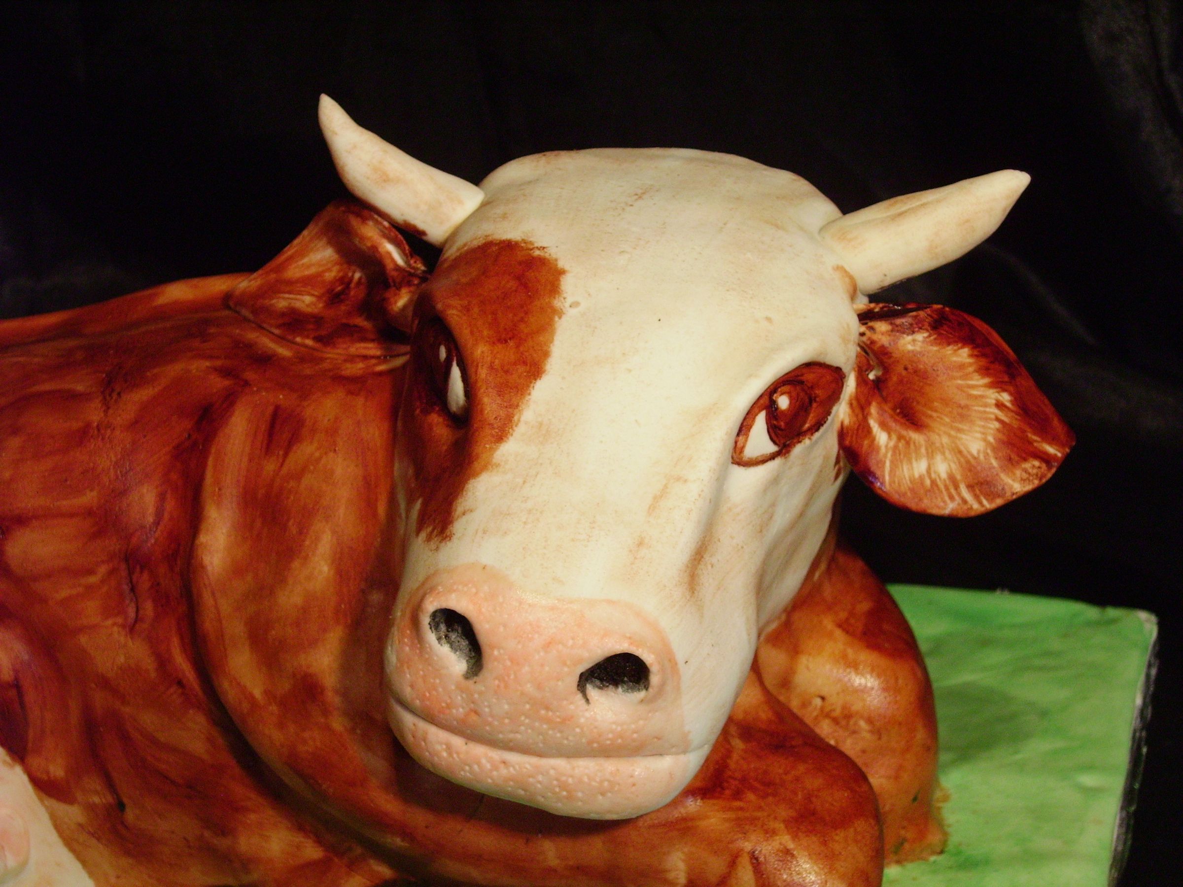 Cow Cake Step by Step : 9 Steps (with Pictures) - Instructables