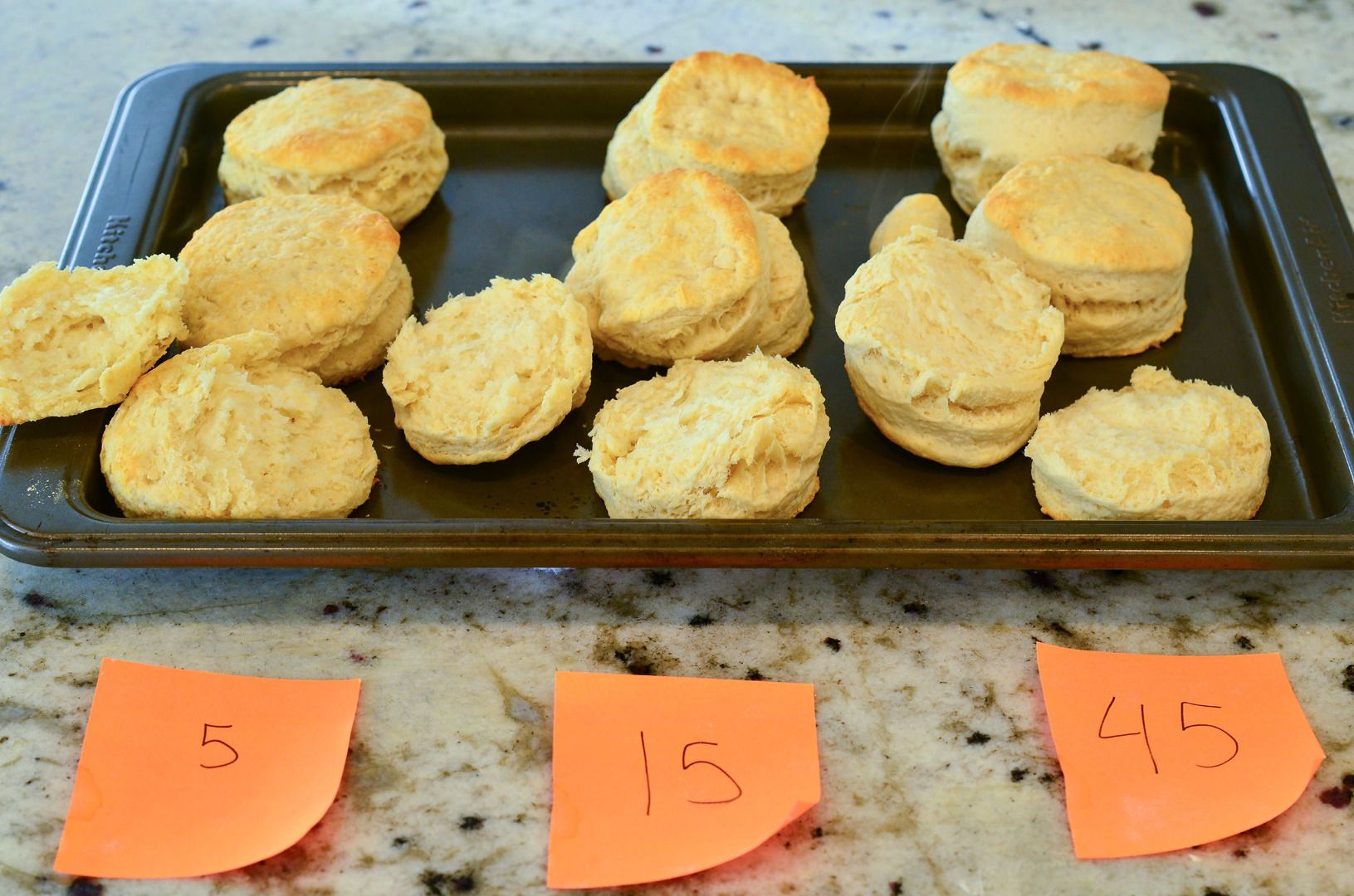 The Science of Biscuits : 14 Steps (with Pictures) - Instructables