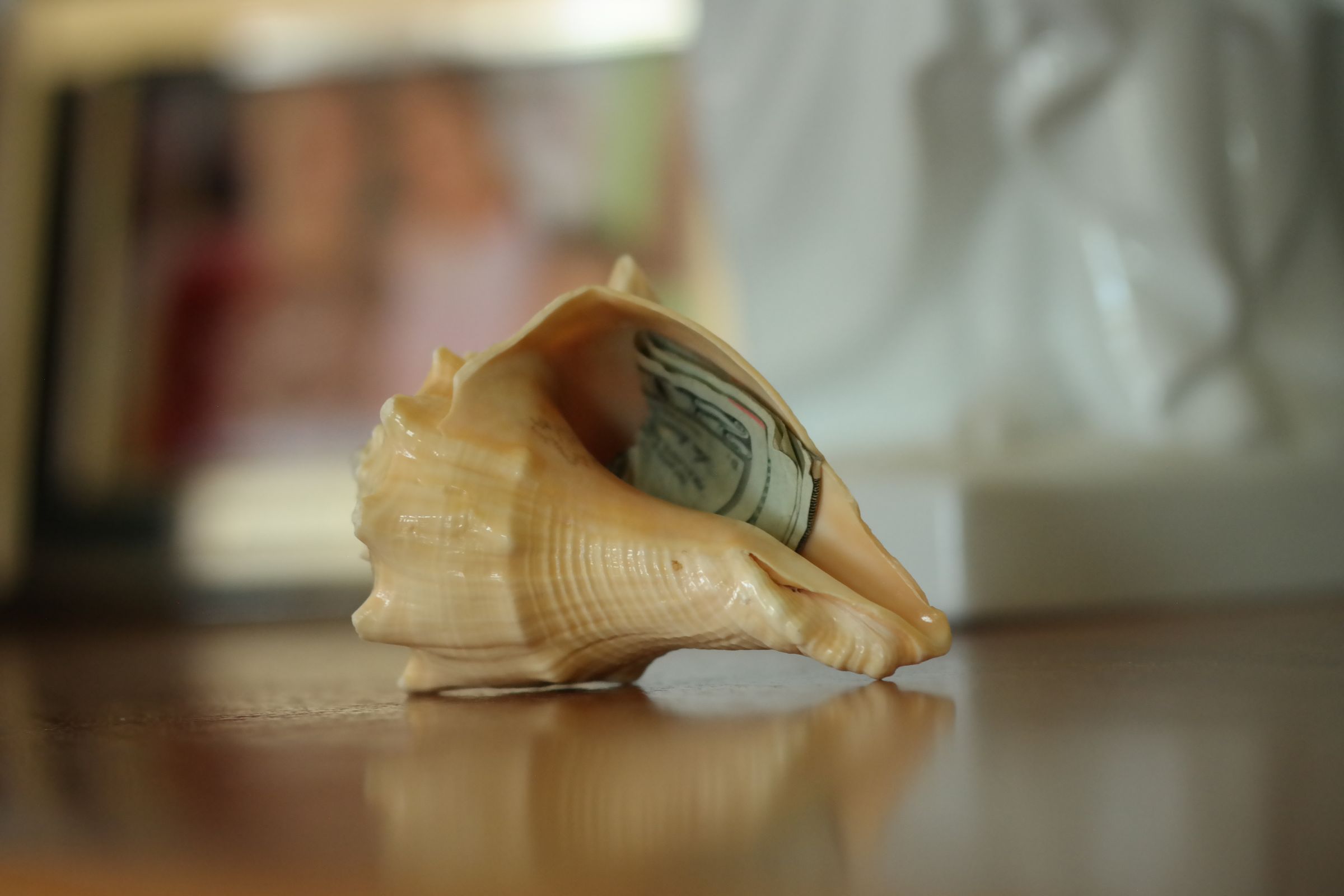 10 Simple Places to Hide Your Money : 12 Steps (with Pictures ...