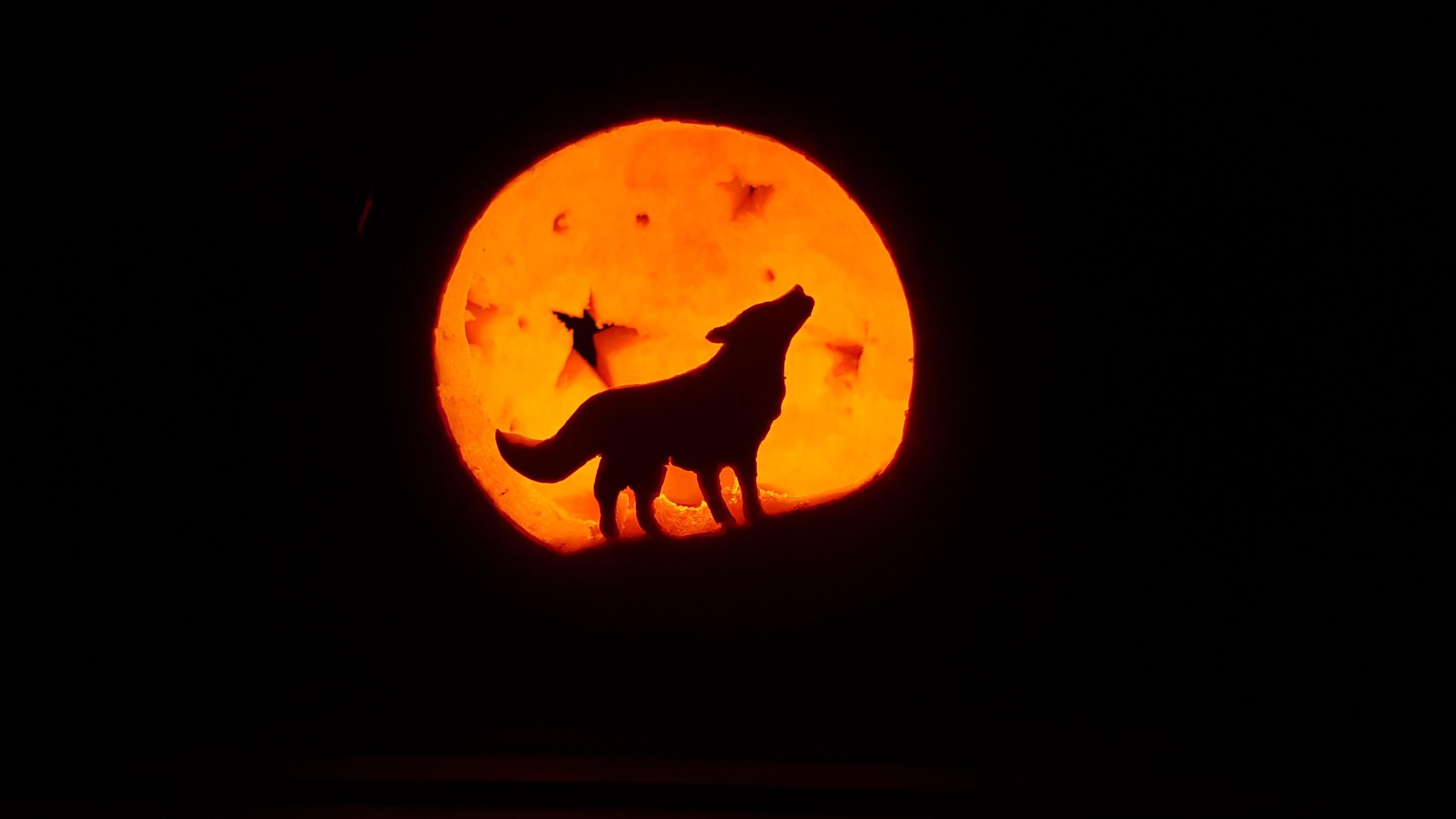 Pumpkin Carving of a Wolf : 6 Steps (with Pictures) - Instructables
