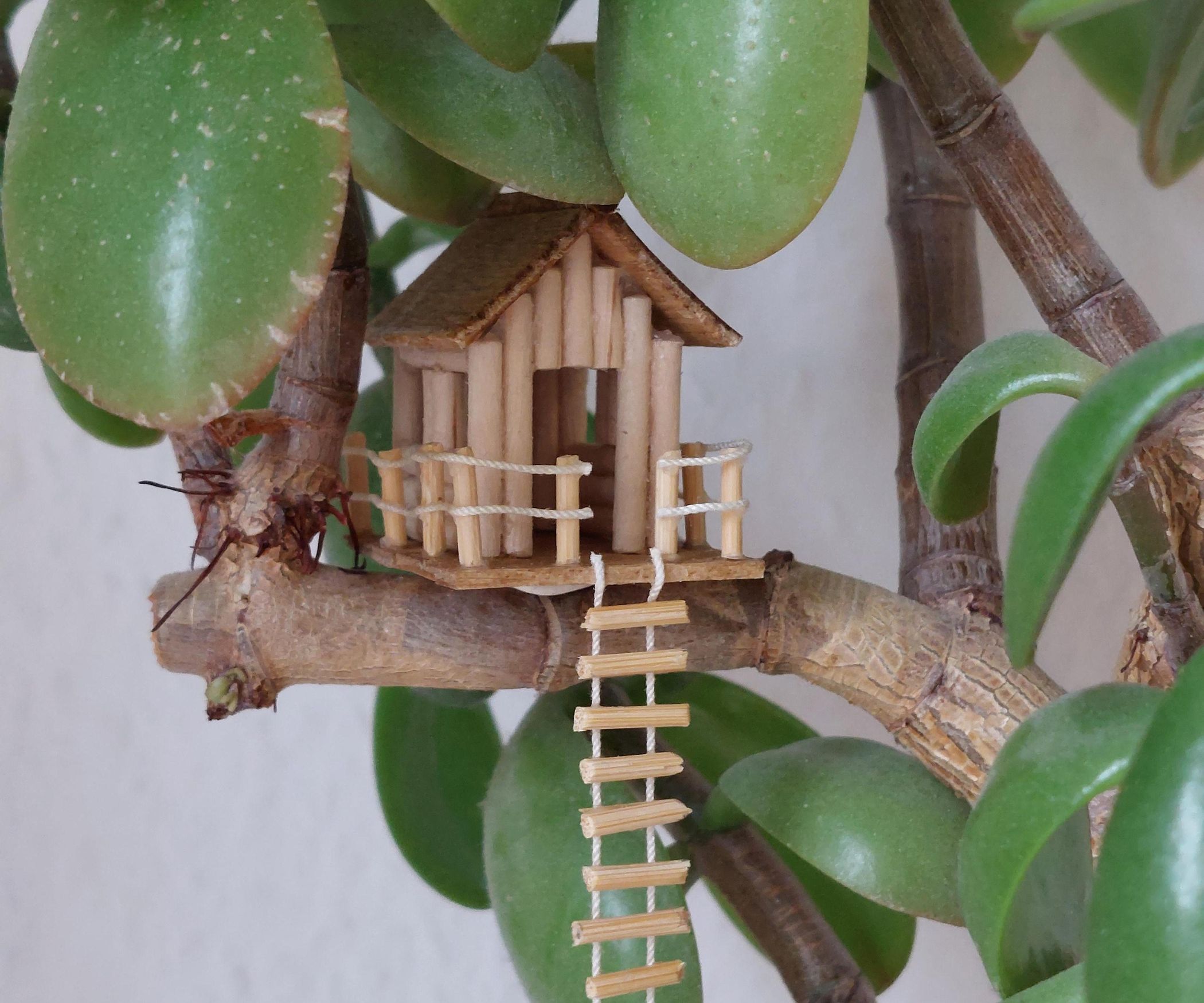 Tiny Tree House : 6 Steps (with Pictures) - Instructables