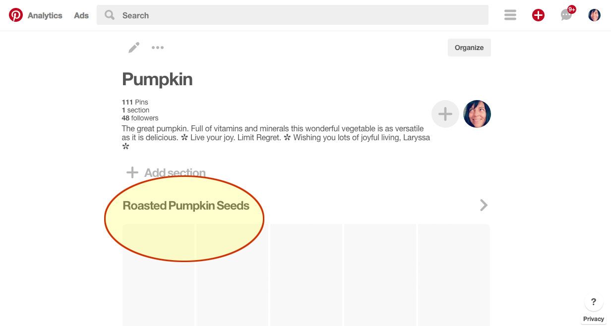 How to Organize Your Pinterest Boards Into Sections : 7 Steps ...