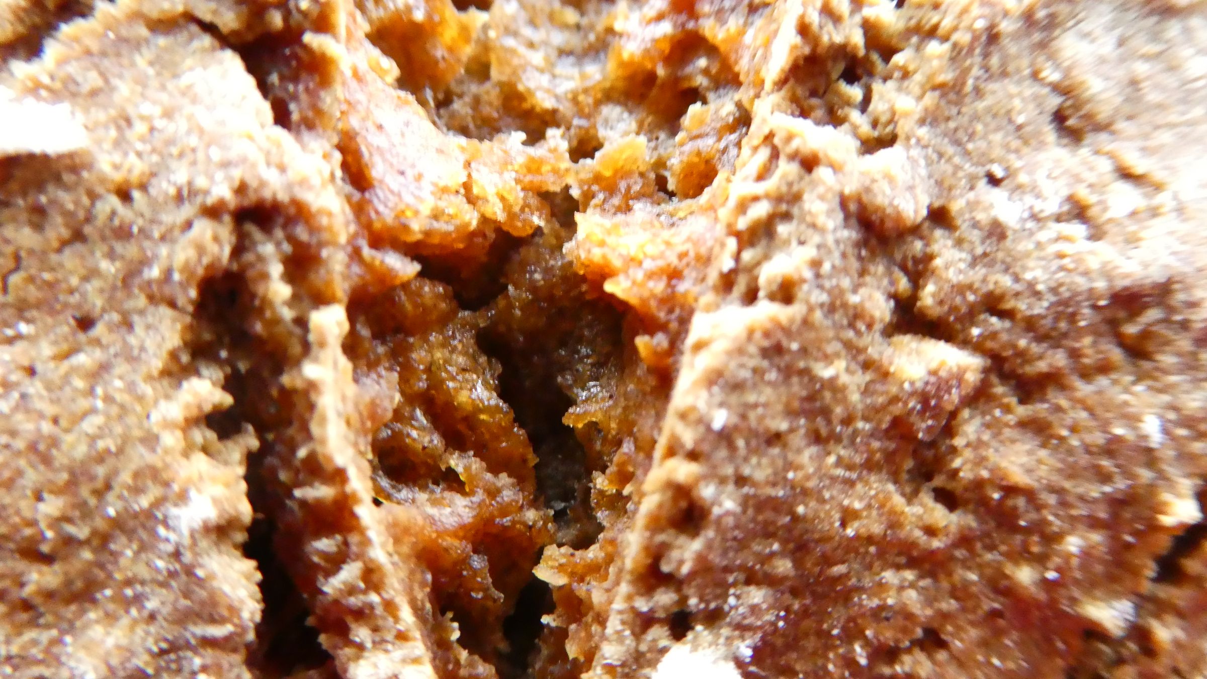 Pure Rye Bread : 31 Steps (with Pictures) - Instructables