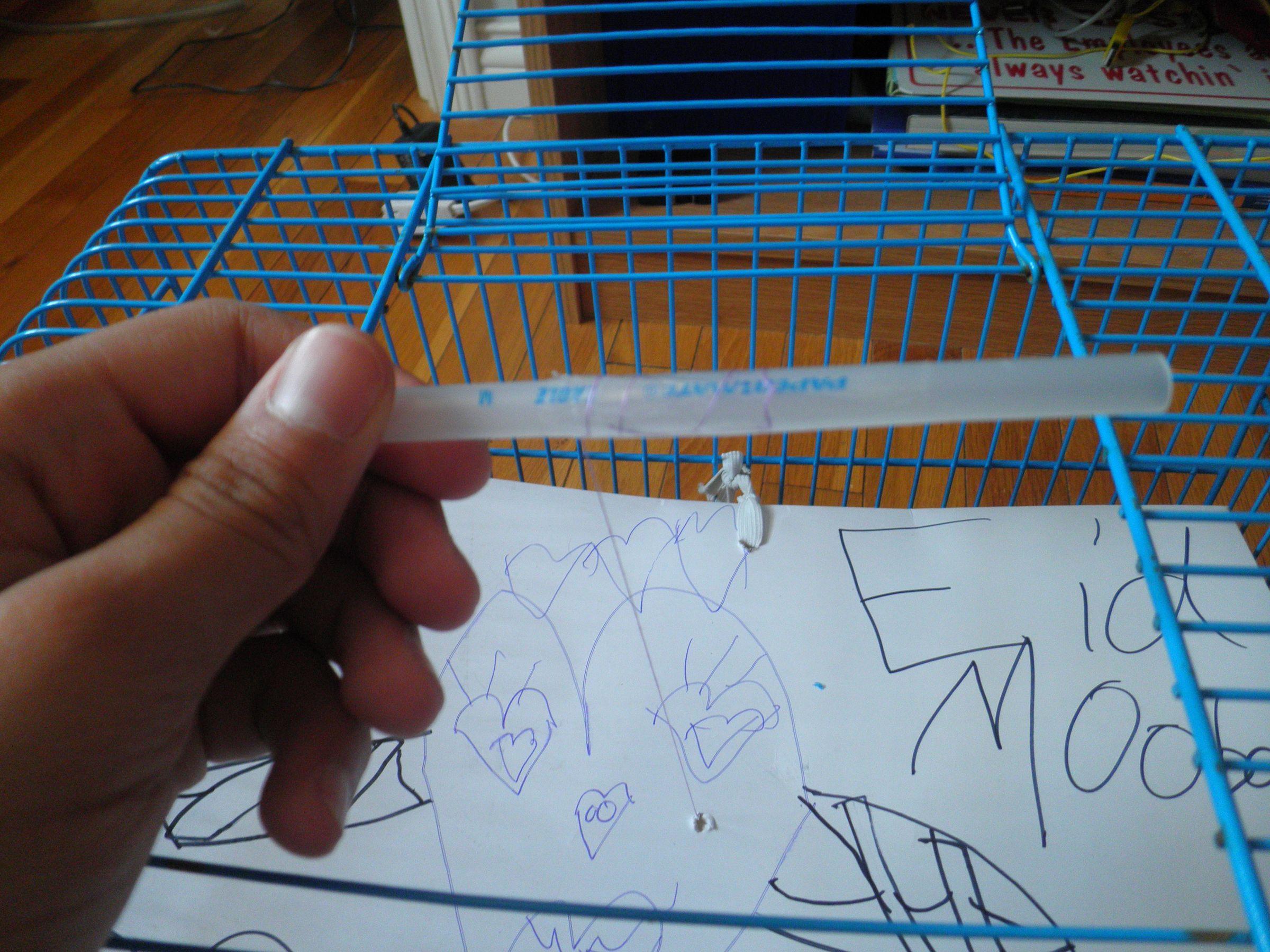 Easy Homemade Chipmunk Trap (keeps Them Alive) - Instructables