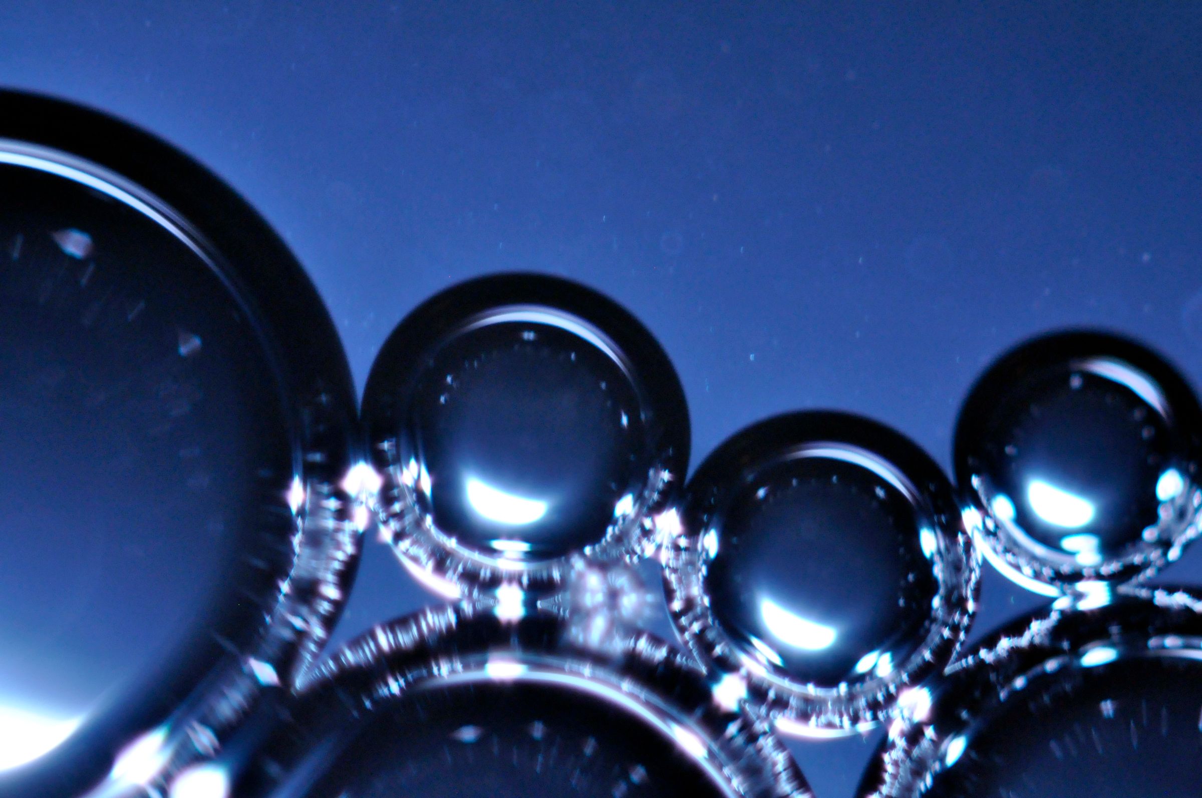 Macro Photography and Photomicroscopy : 9 Steps (with Pictures ...