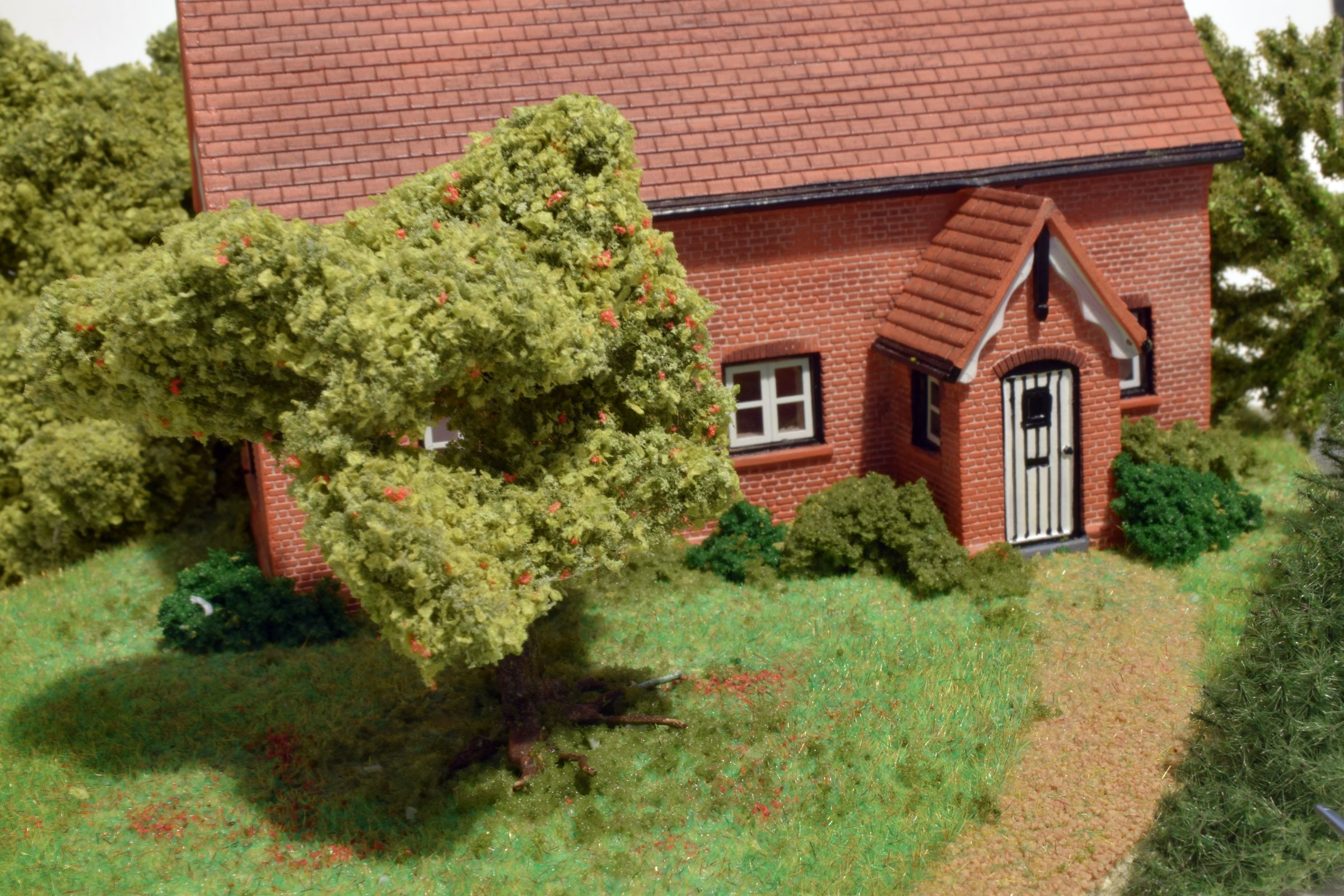 Modelling Trees : 9 Steps (with Pictures) - Instructables