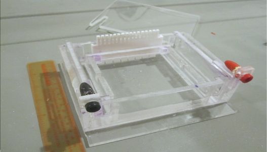 DIY Gel Electrophoresis Box for Separating DNA : 6 Steps - Instructables