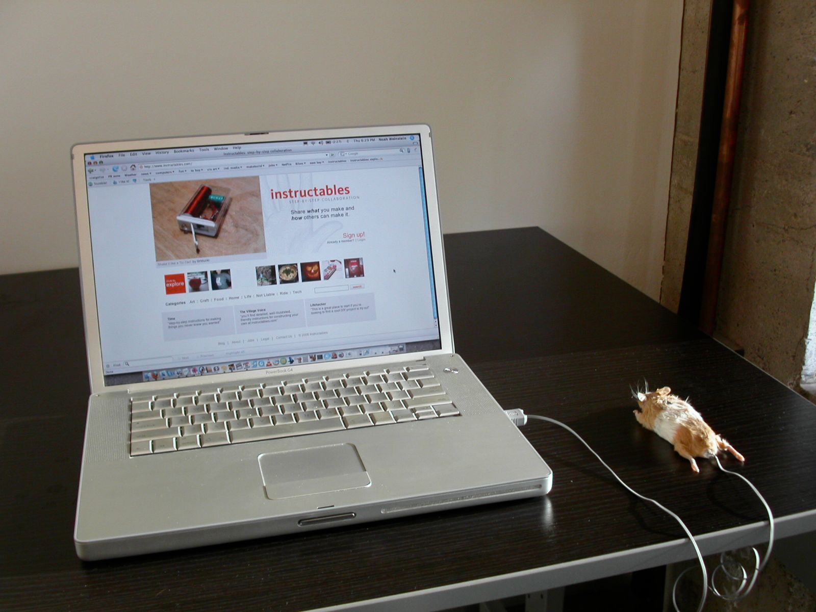 Mouse Mouse! : 9 Steps (with Pictures) - Instructables