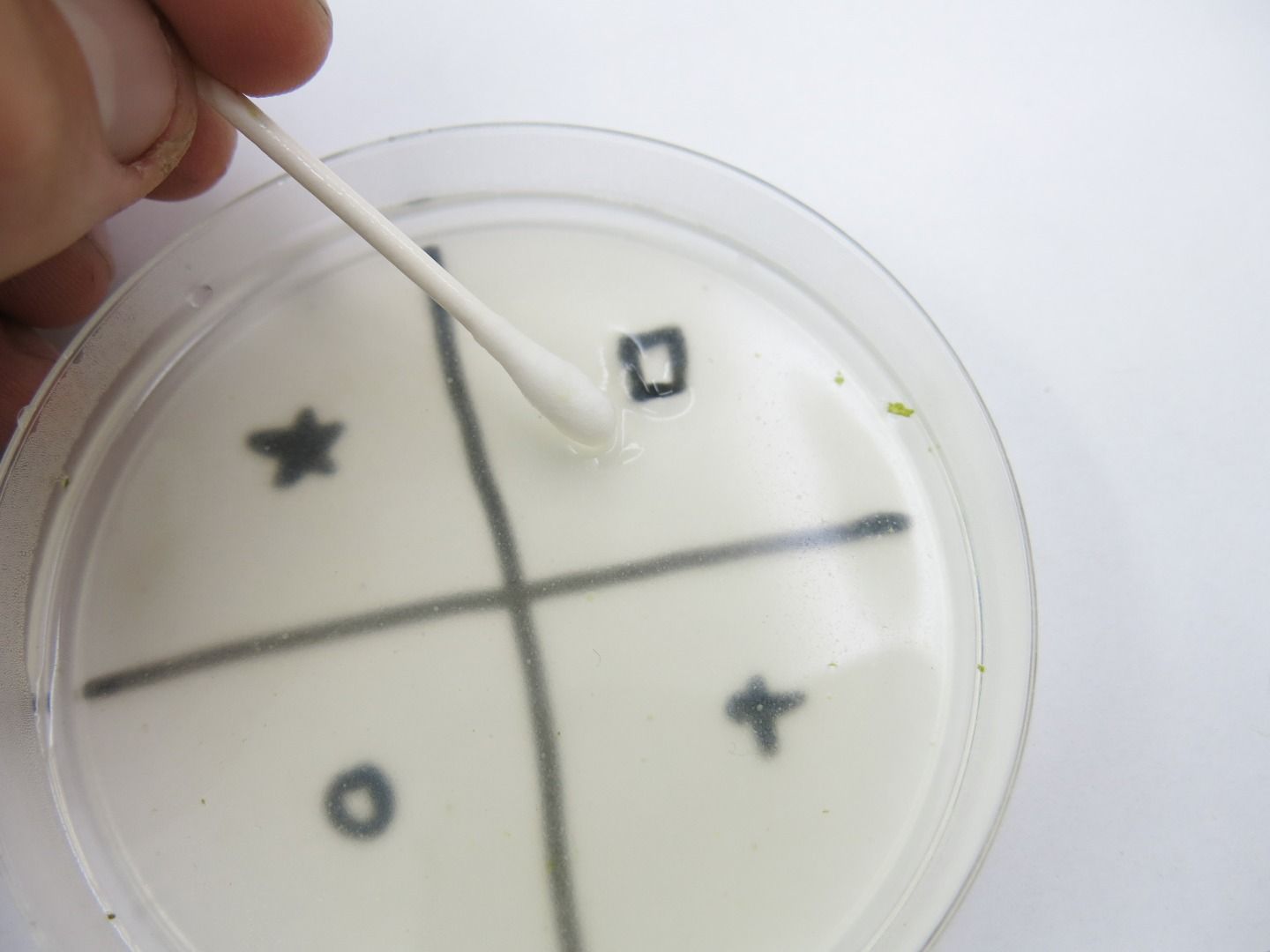 Grow Bacteria From Gross Stuff! : 6 Steps (with Pictures) - Instructables