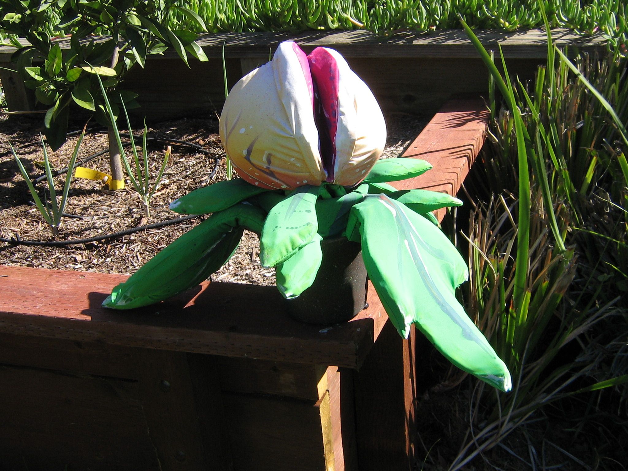 Building Audrey II Phase 1 : 11 Steps - Instructables