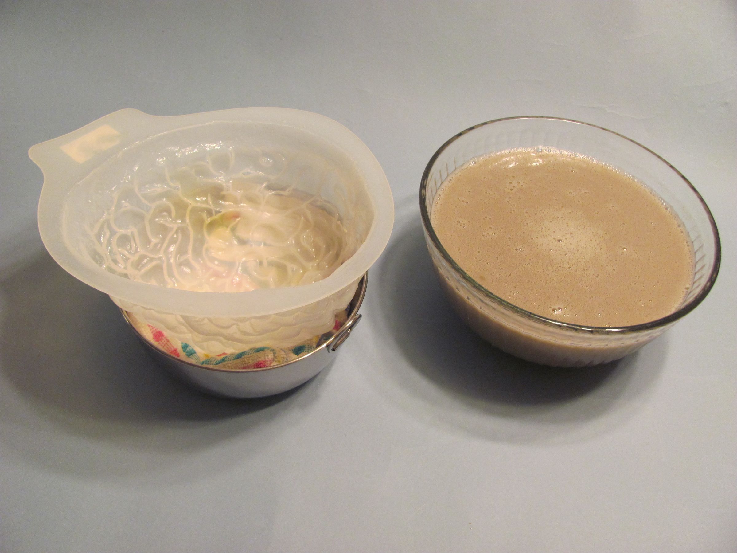 'Brain Food' (Jello Brain) : 8 Steps (with Pictures) - Instructables
