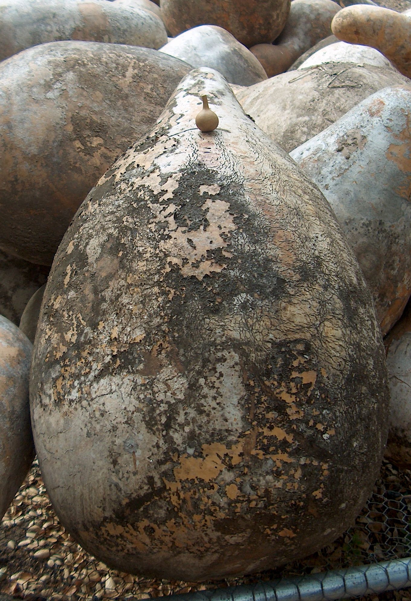 How to Clean a Hardshell Gourd : 3 Steps (with Pictures) - Instructables