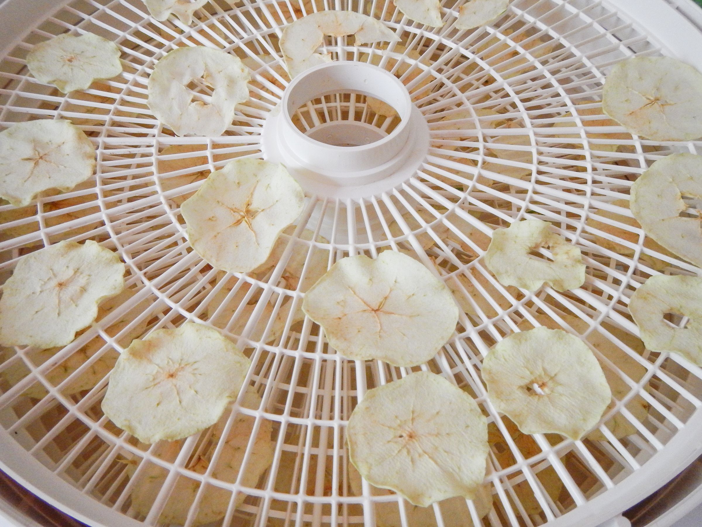 How to Dehydrate Apples : 5 Steps (with Pictures) - Instructables