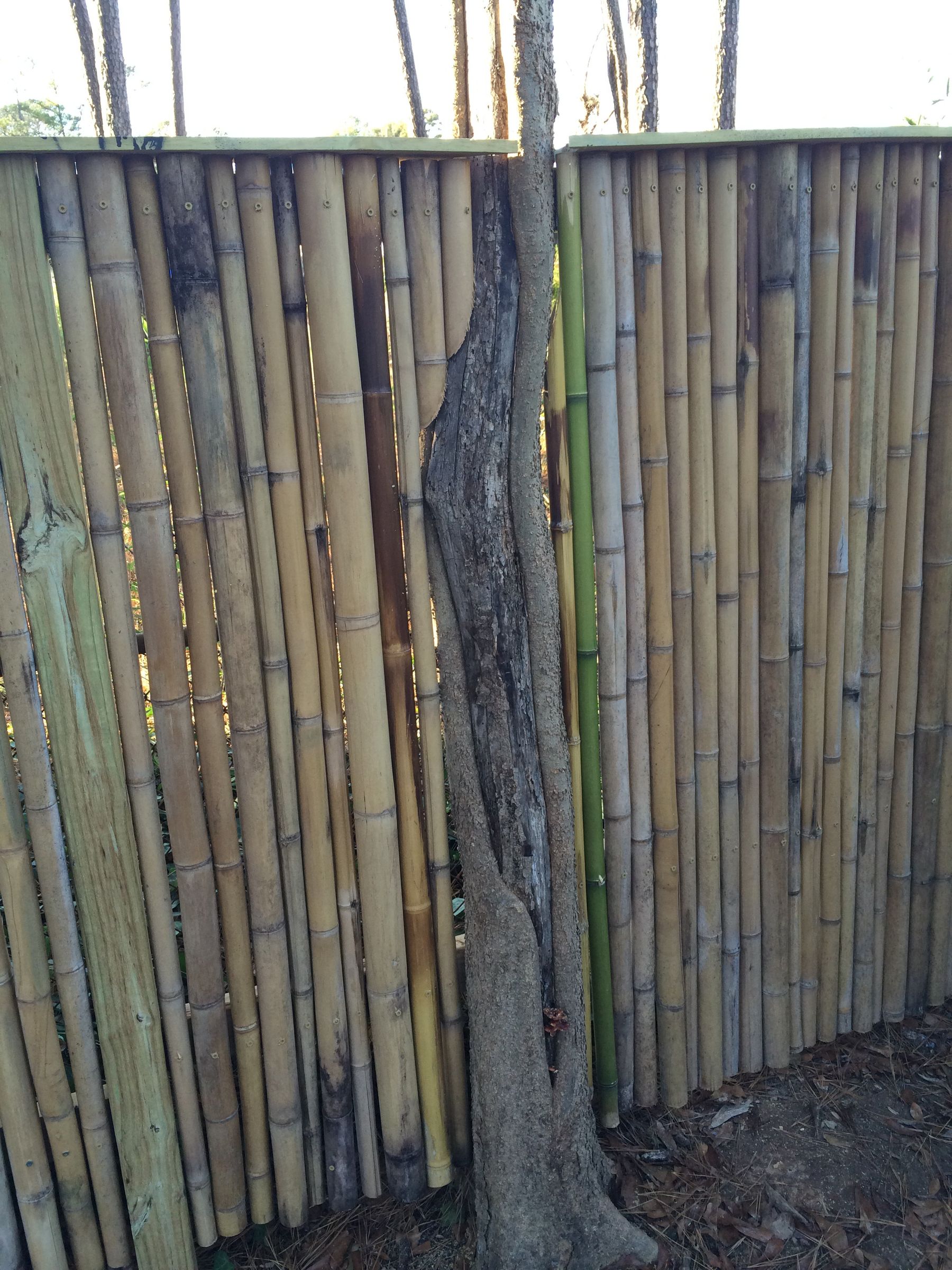 Bamboo Fence : 41 Steps (with Pictures) - Instructables