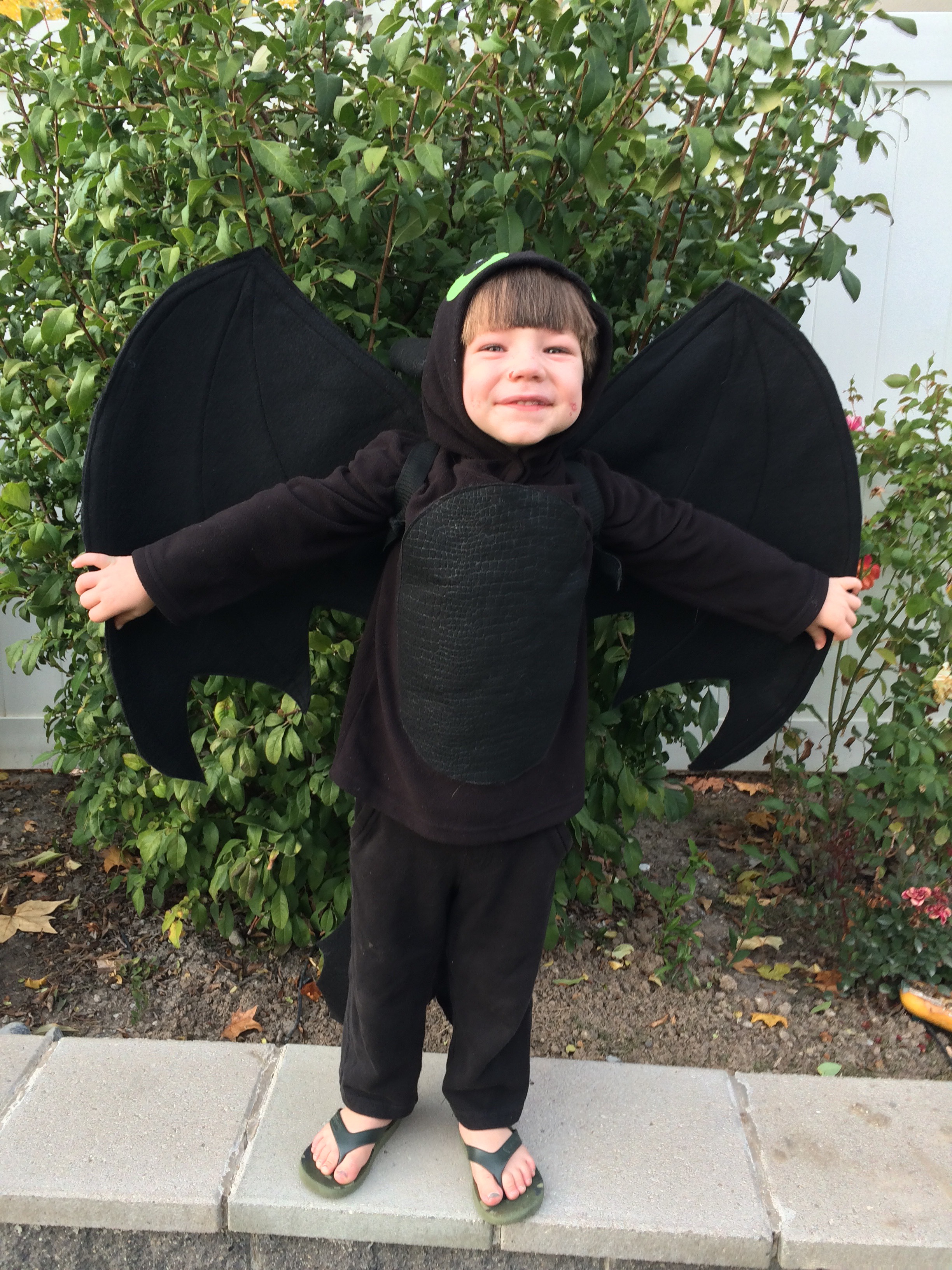 Easy Toothless Costume : 7 Steps (with Pictures) - Instructables