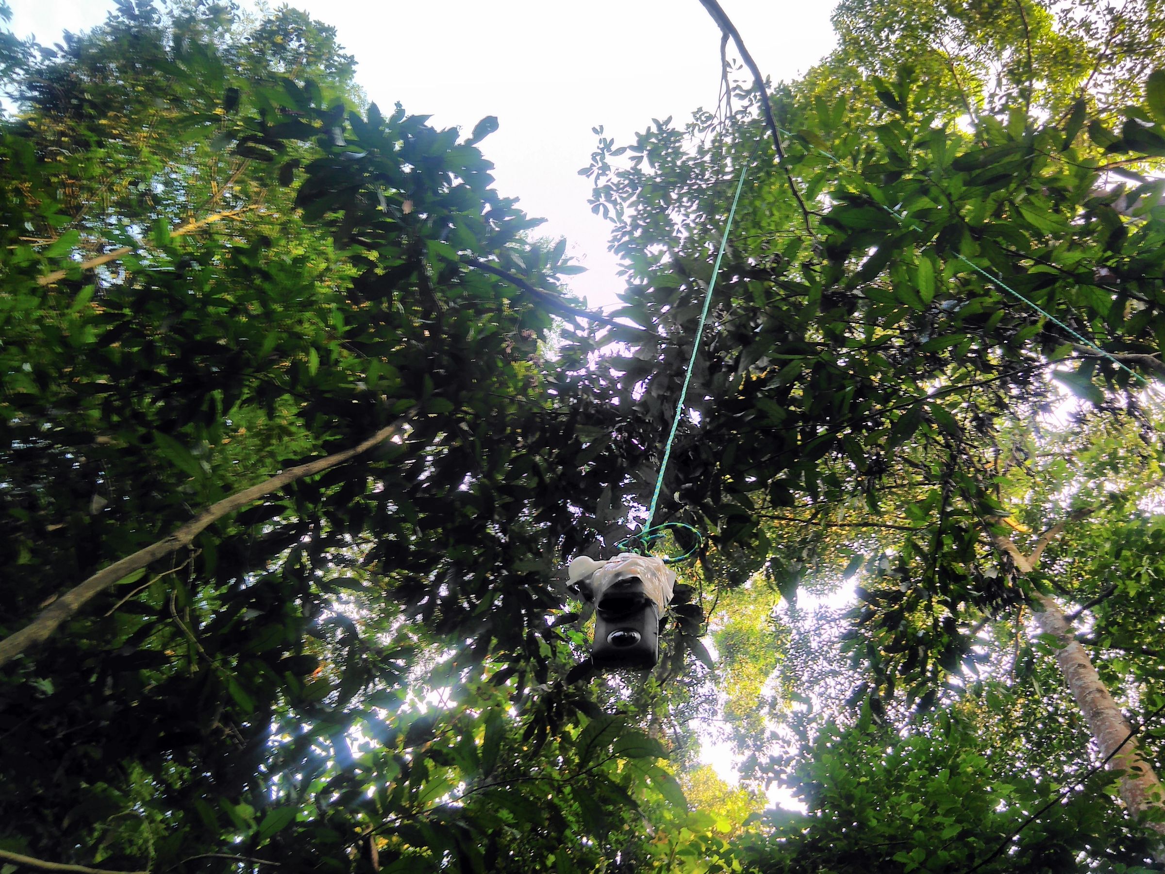 360 Virtual Reality Camera Trap : 16 Steps (with Pictures) - Instructables