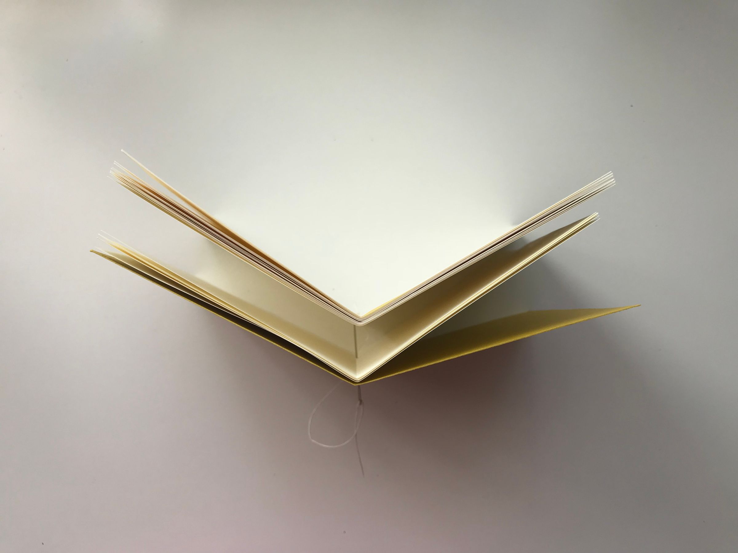 Field Notebook : 6 Steps (with Pictures) - Instructables