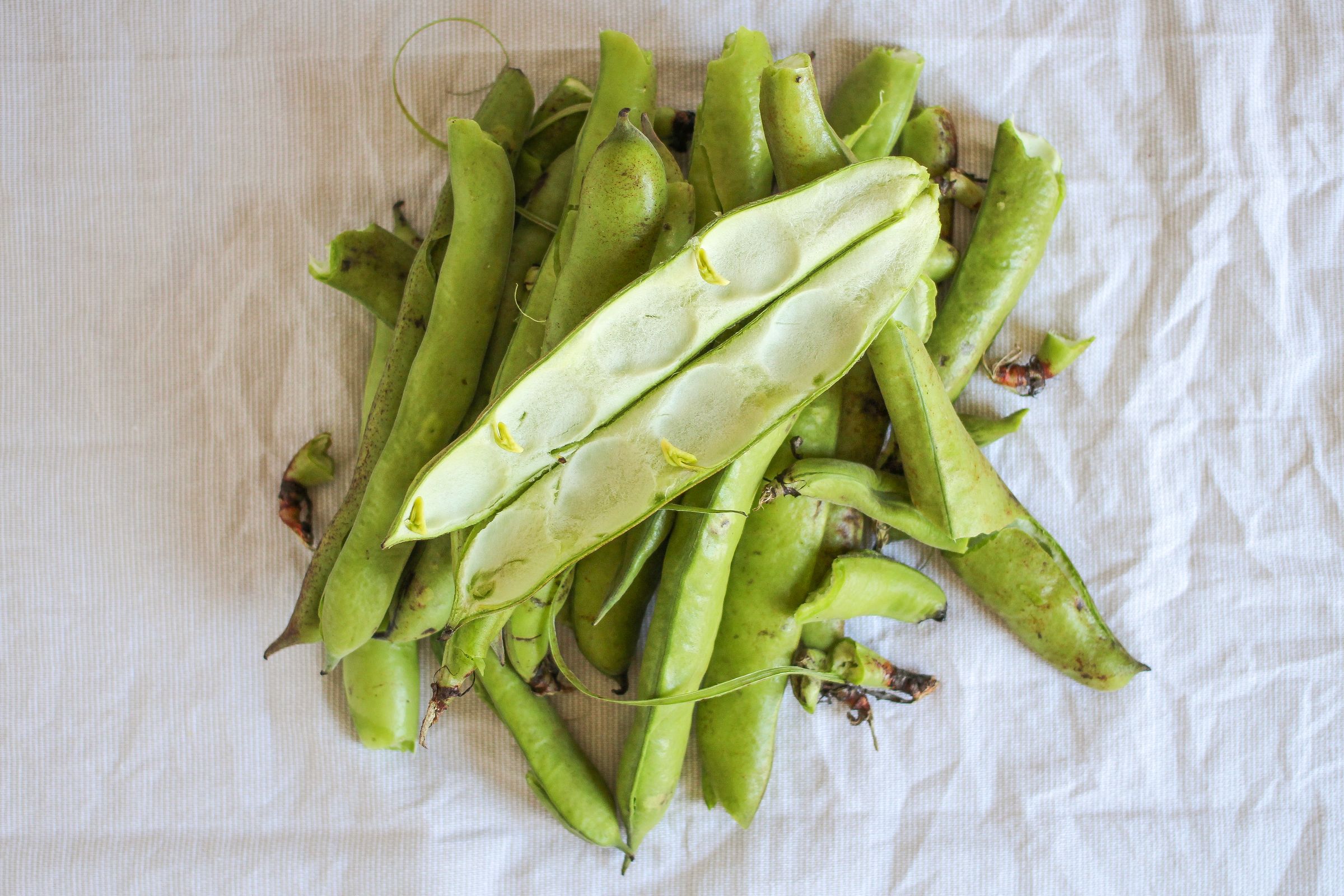 How to Cook Fava Beans : 5 Steps (with Pictures) - Instructables