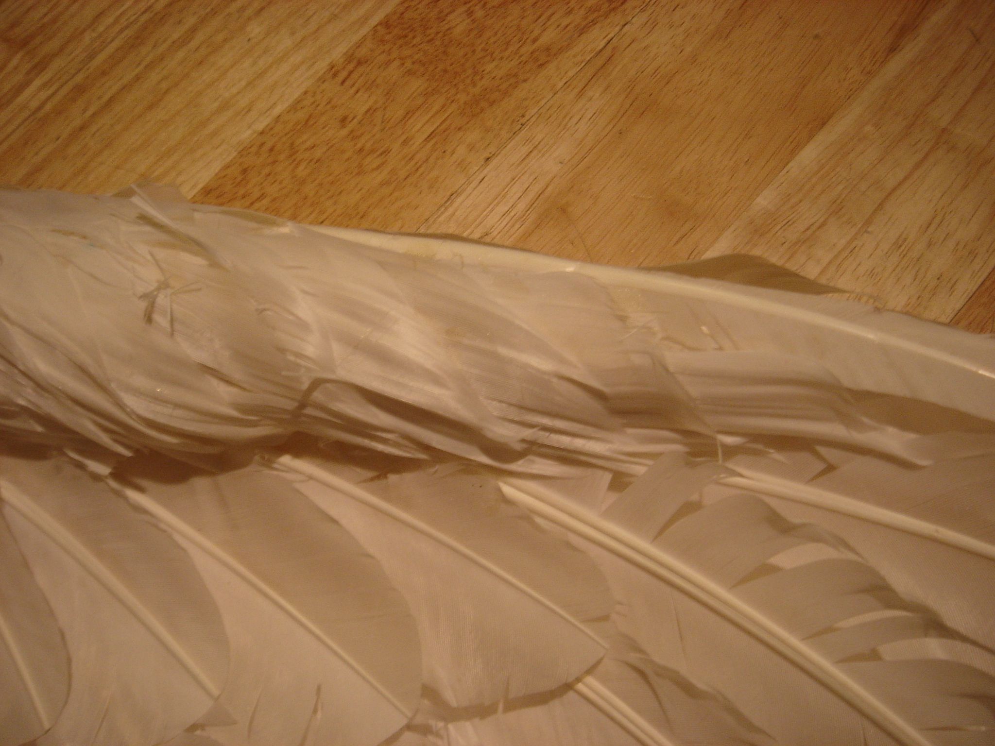 How to Make a Pair of Angel Wings : 15 Steps (with Pictures ...
