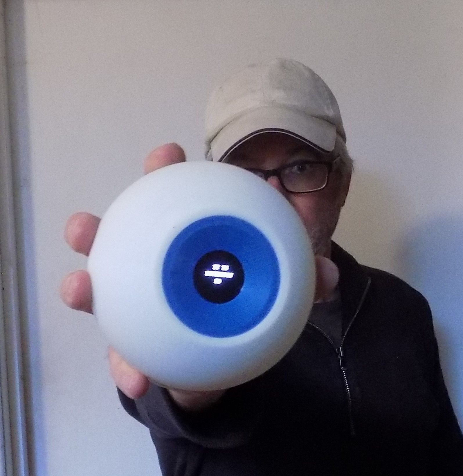 Electronic Magic 8 Ball and Eyeball : 11 Steps (with Pictures ...