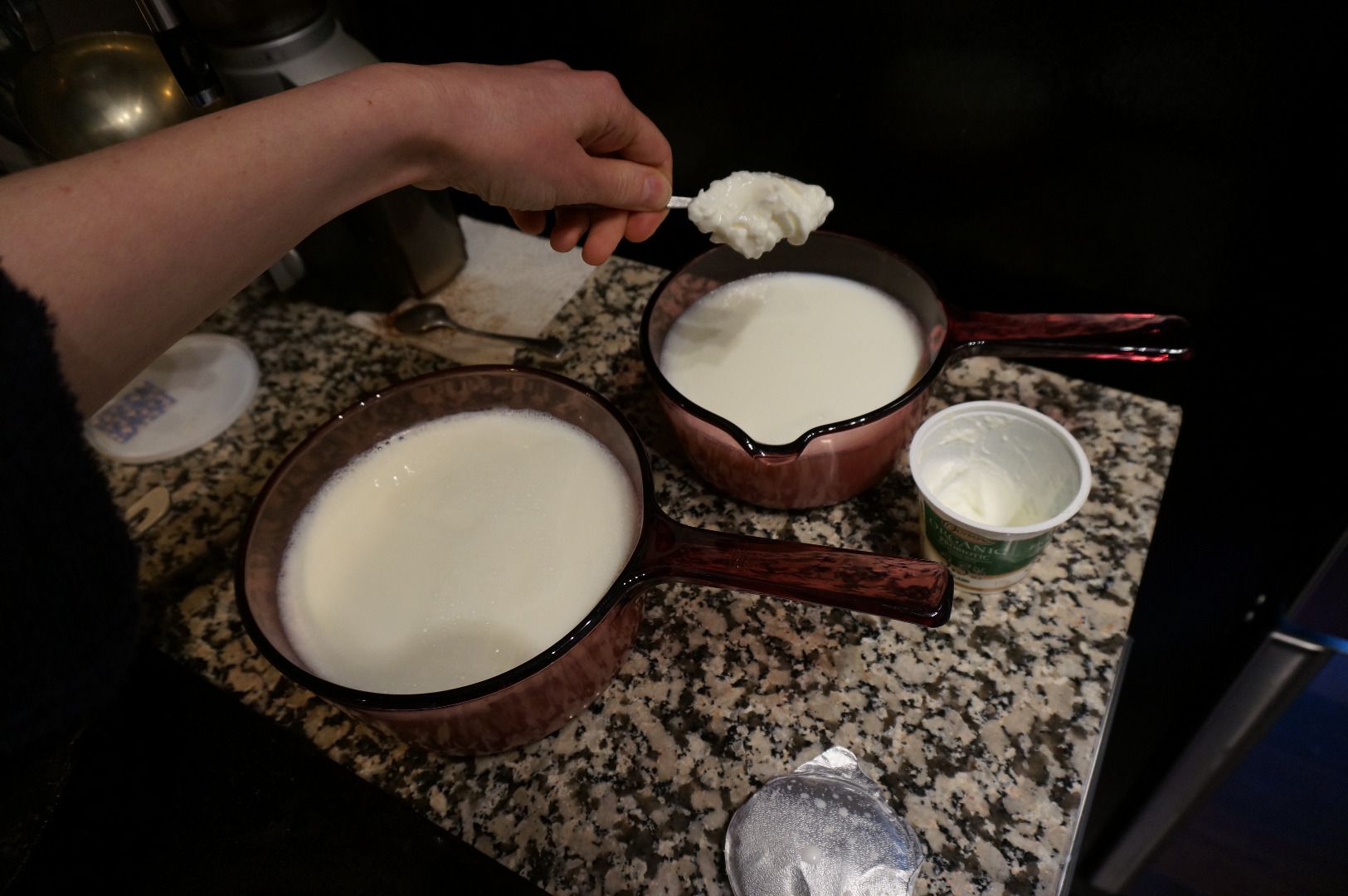 Make Yogurt With No Special Equipment : 8 Steps (with Pictures ...