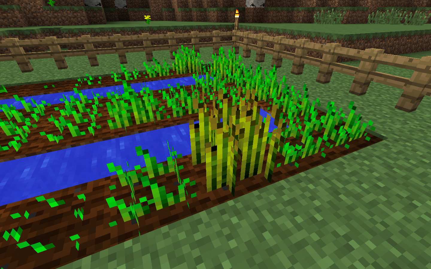Farming in Minecraft : 10 Steps (with Pictures) - Instructables