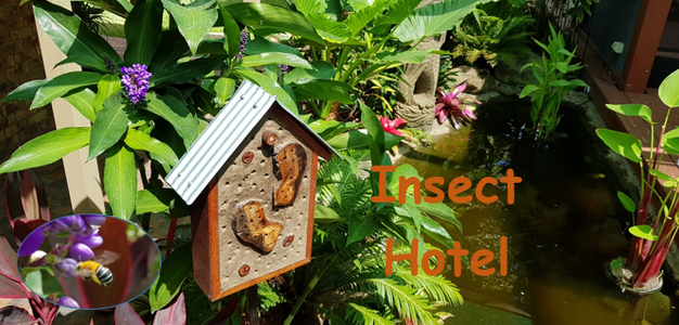 Insect Hotel : 10 Steps (with Pictures) - Instructables