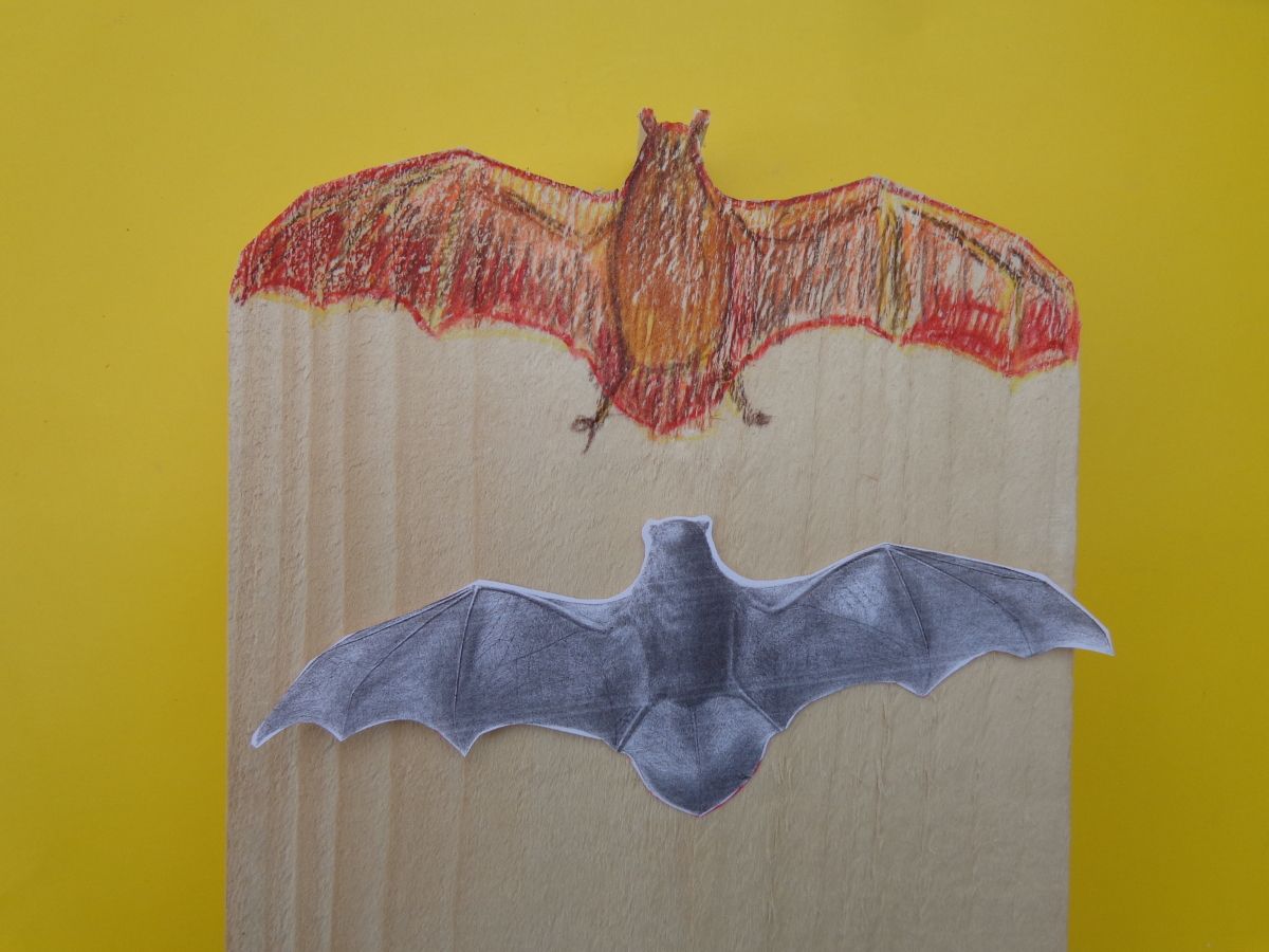 Simple Bat House : 10 Steps (with Pictures) - Instructables