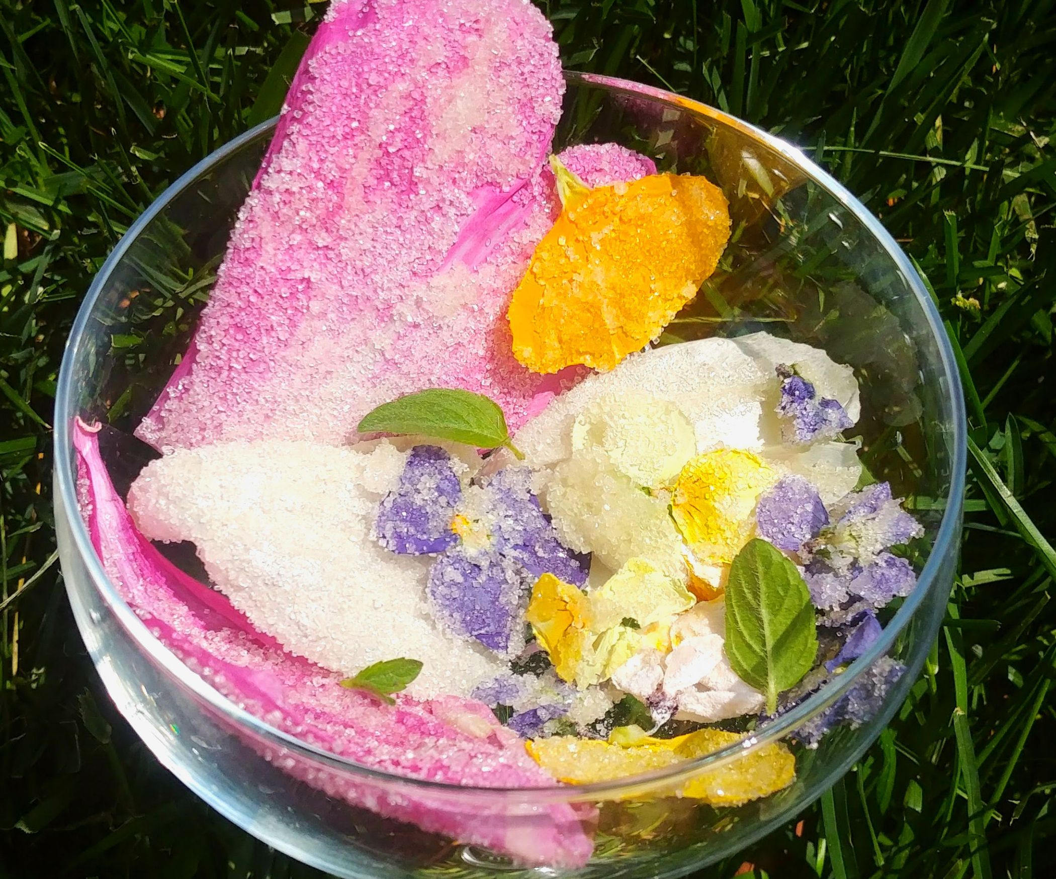 Candied Wildflowers : 5 Steps (with Pictures) - Instructables