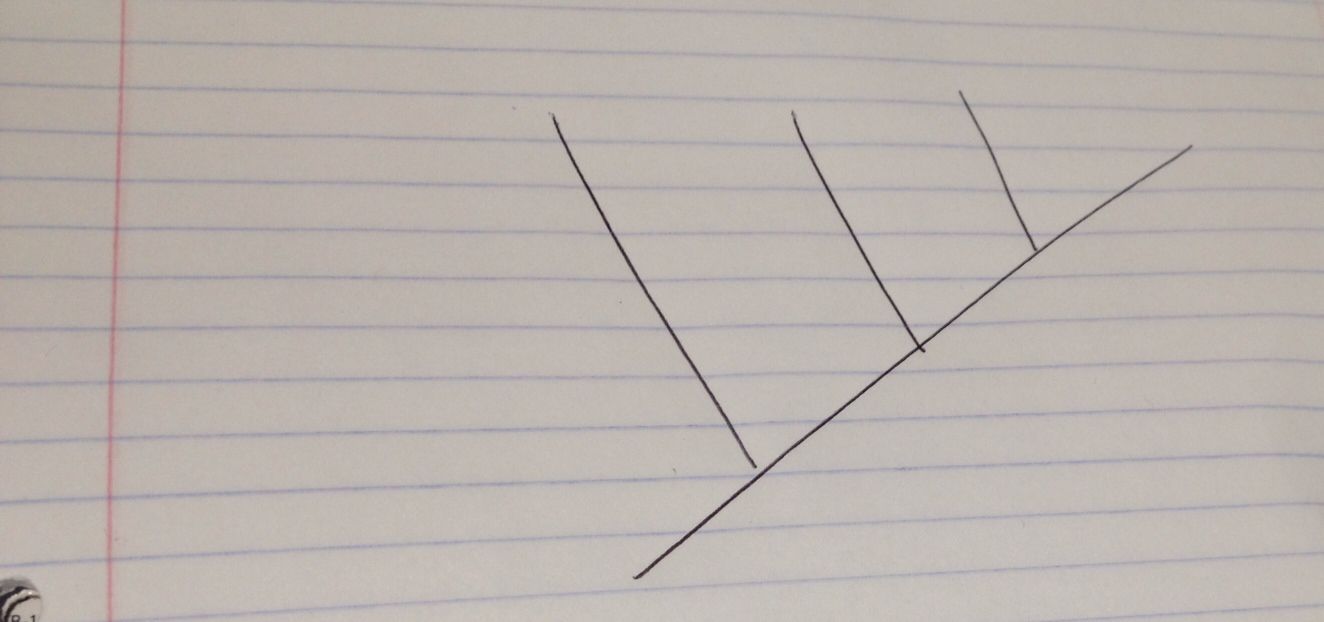 How to Make a Cladogram : 10 Steps - Instructables