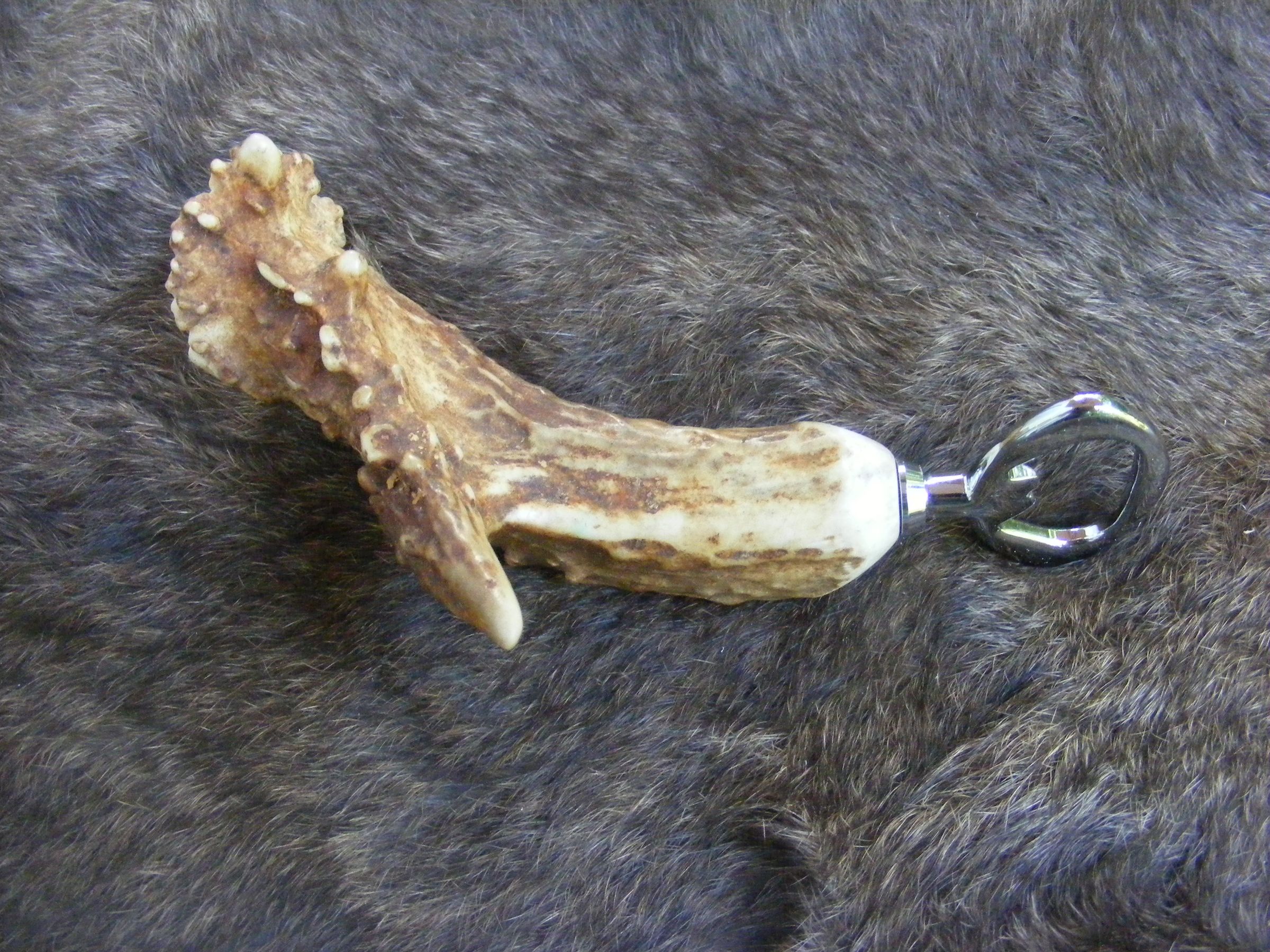 Crafting With Deer Antler : 11 Steps (with Pictures) - Instructables