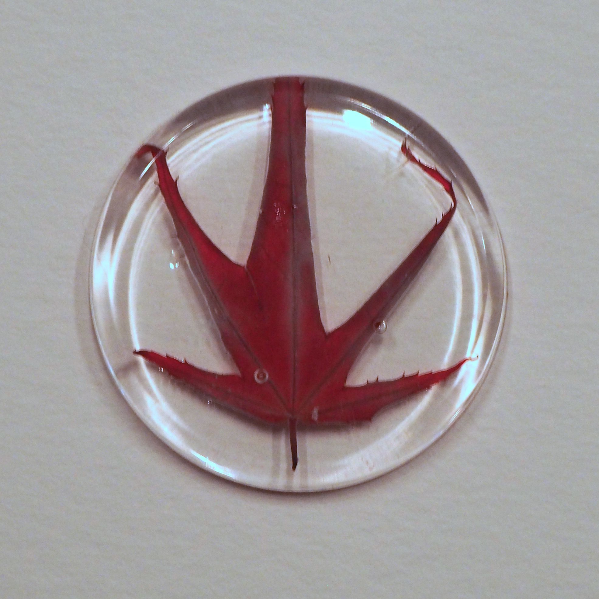 Techniques to Embed Flowers in Resin : 12 Steps (with Pictures ...