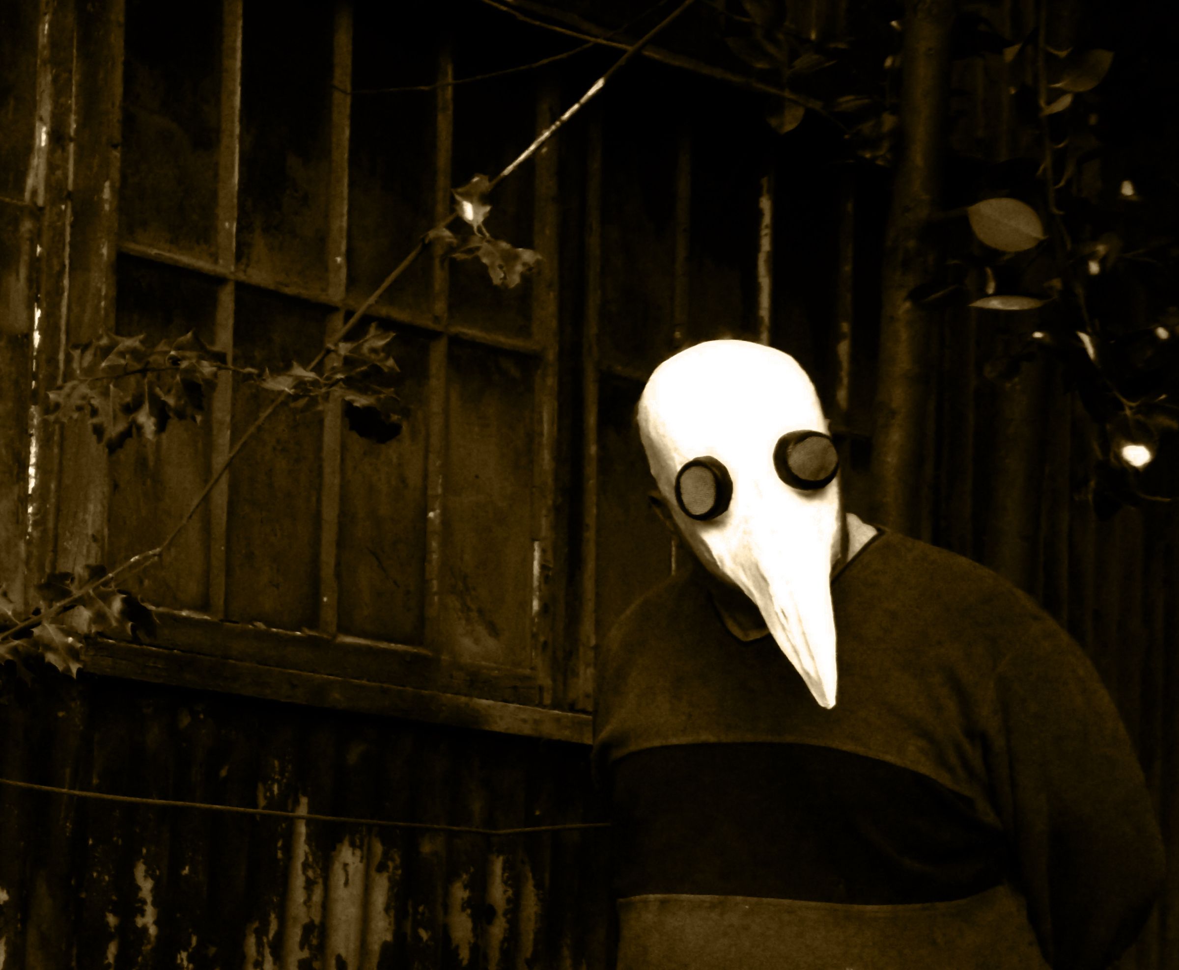 Plague Doctor Mask for Halloween. : 3 Steps (with Pictures) - Instructables