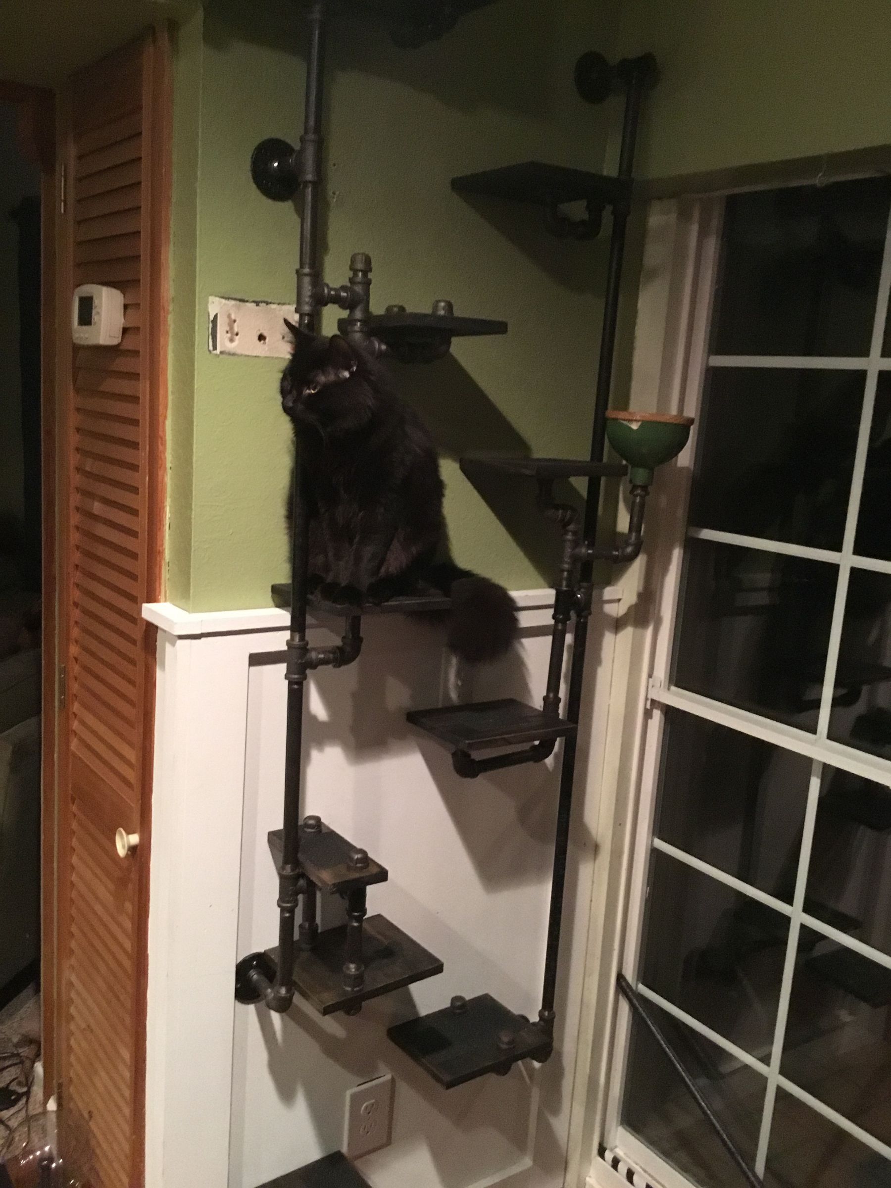 Cat Wall : 5 Steps (with Pictures) - Instructables