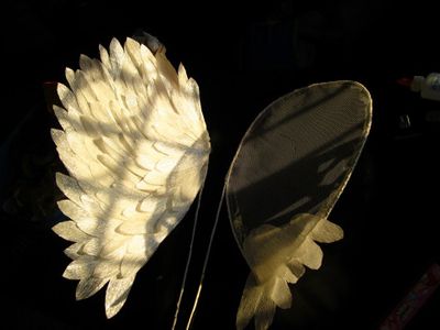 Angel Wings for Costume : 4 Steps - Instructables