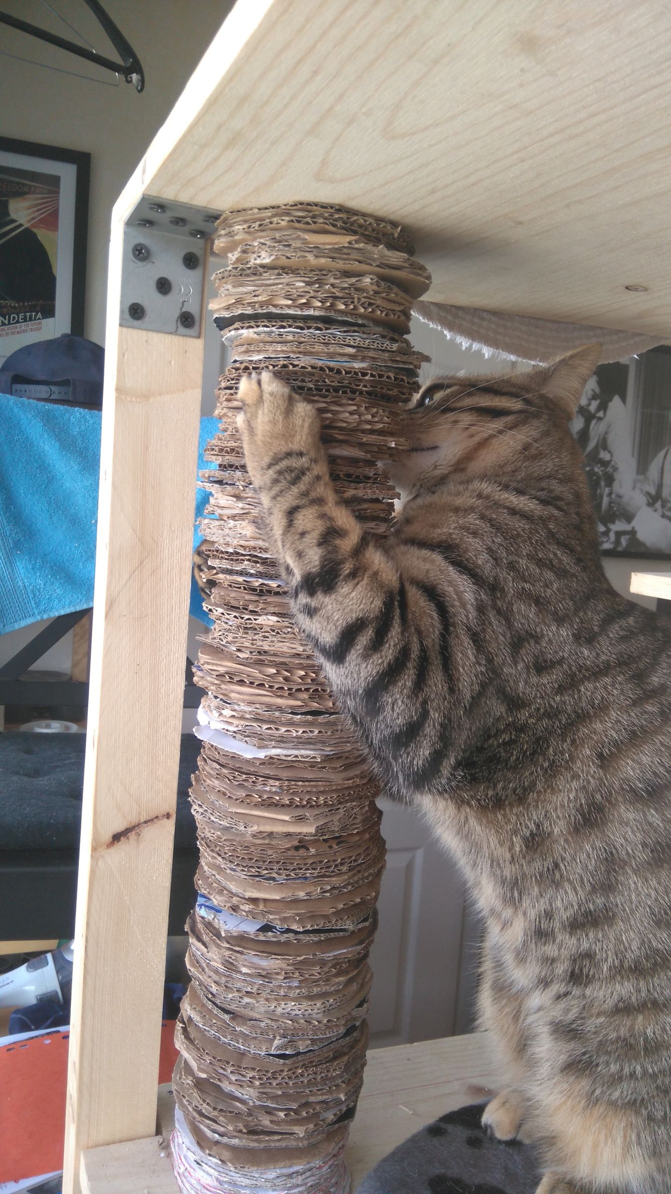 Cardboard Scratching Post : 4 Steps (with Pictures) - Instructables