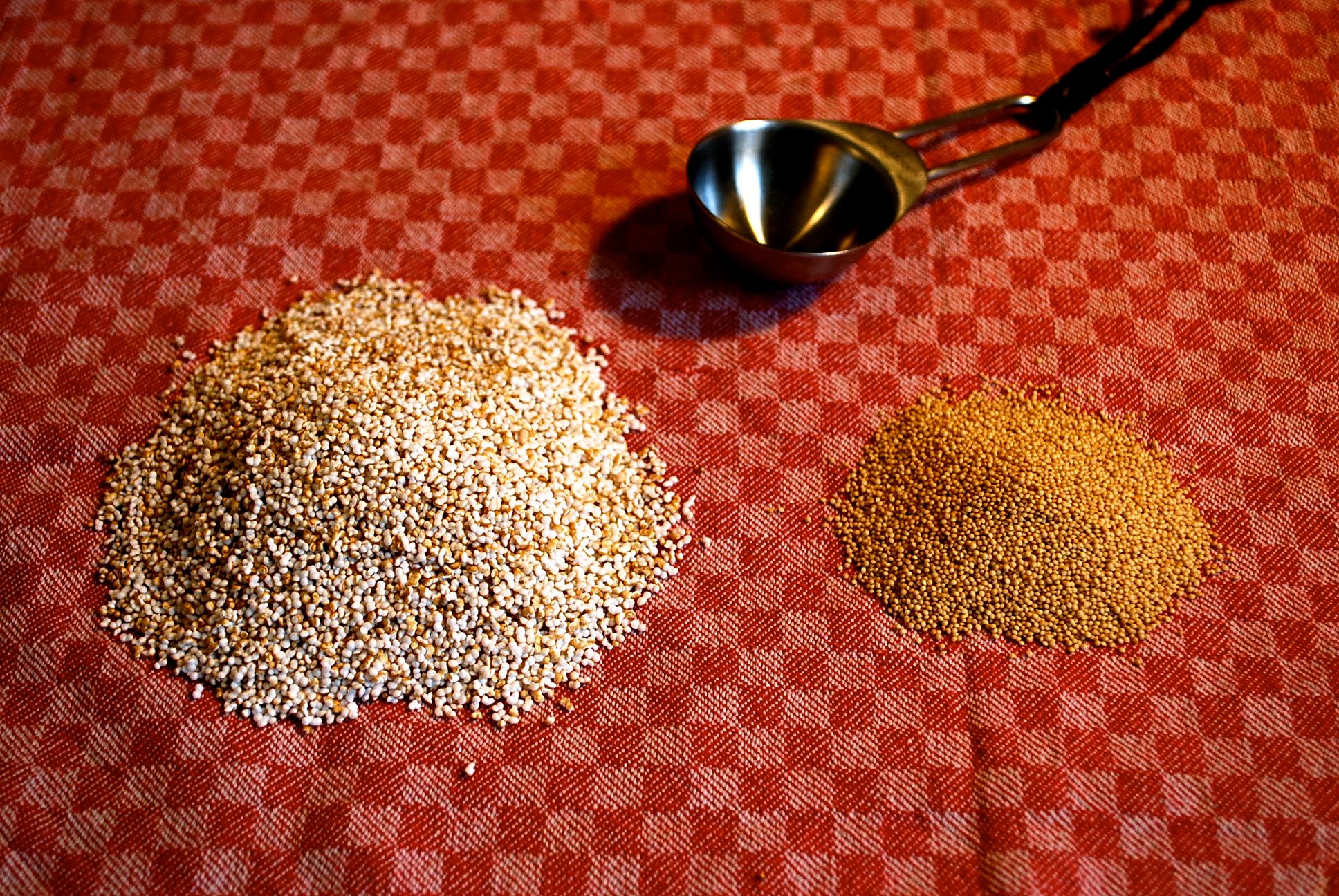 Popped Amaranth Cereal : 5 Steps (with Pictures) - Instructables